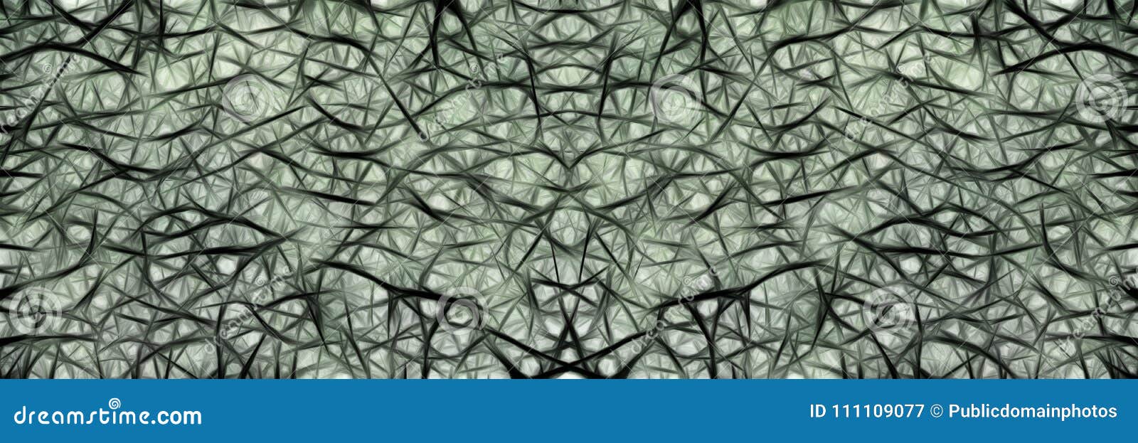 Black And White, Branch, Pattern, Tree Picture. Image: 111109077