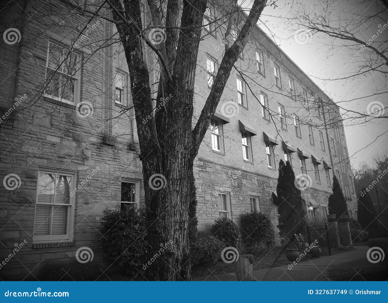 Black and White Brick Building Windows Stock Image - Image of white ...
