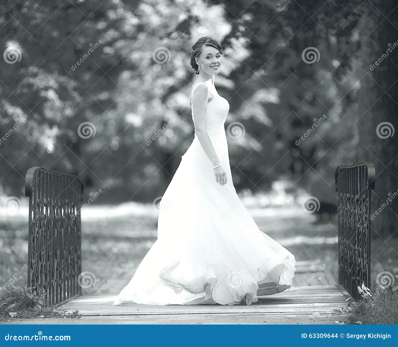 Black and White Bride Portrait Stock Photo - Image of happy, embrace ...