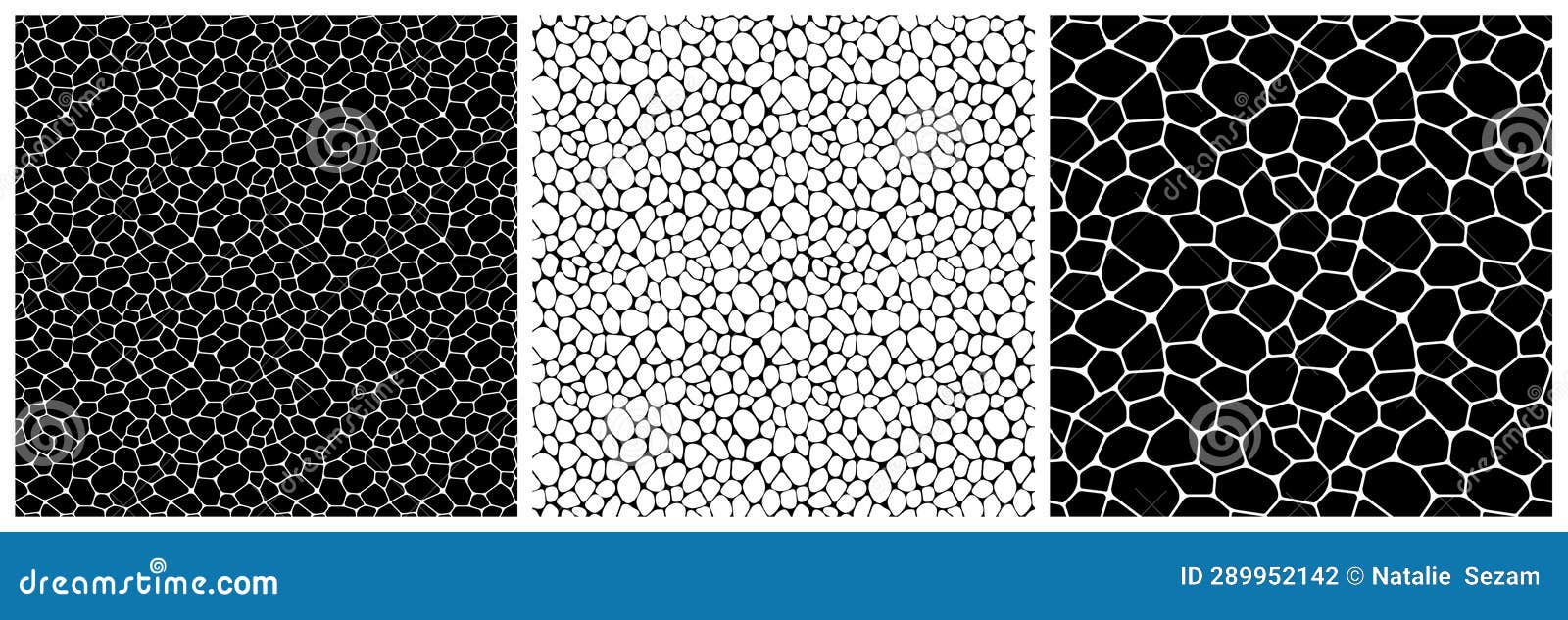 Black and White Cell Seamless Patterns Vector Set. Irregular Geometric ...