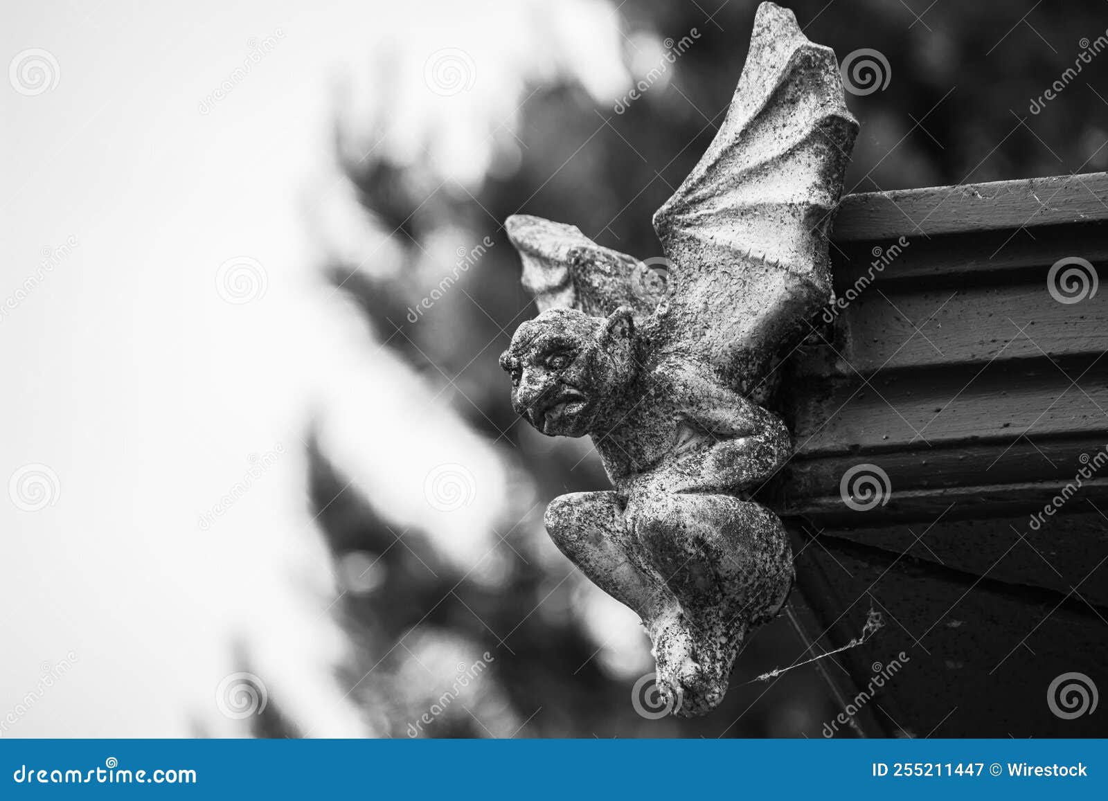 Black and White Closeup of a Gargoyle with Blurred Background Stock ...