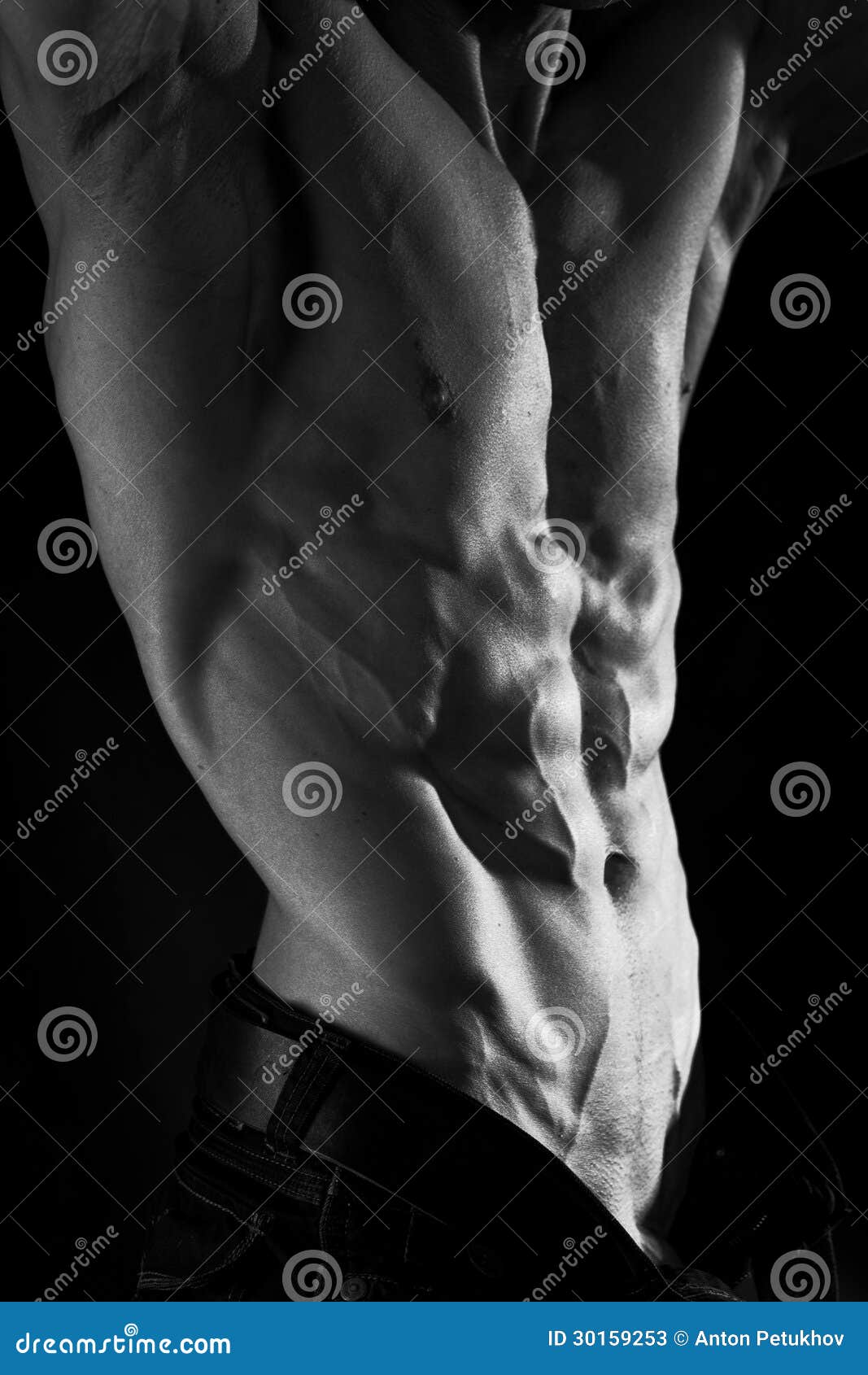 Muscular male torso stock image. Image of strength, details - 30159253