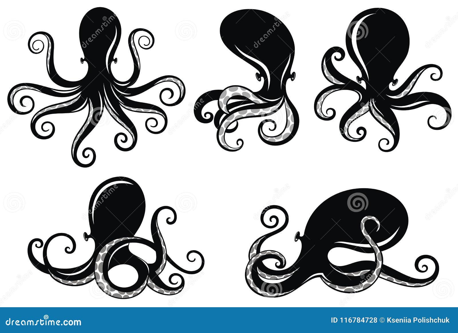 Template for Logos, Labels and Emblems of Octopus.Collection of ...