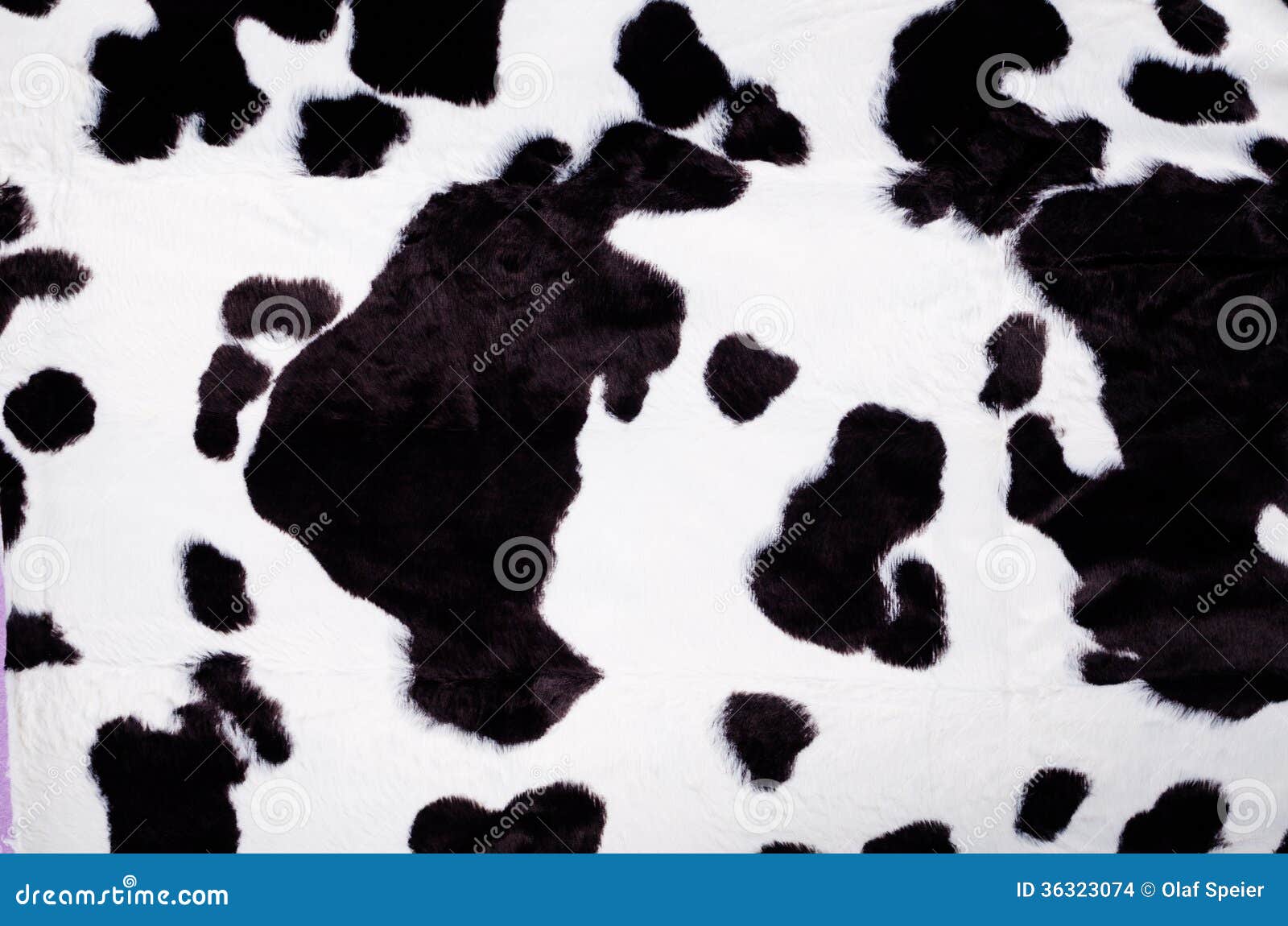 Black and white cow skin stock photo. Image of speckled - 36323074