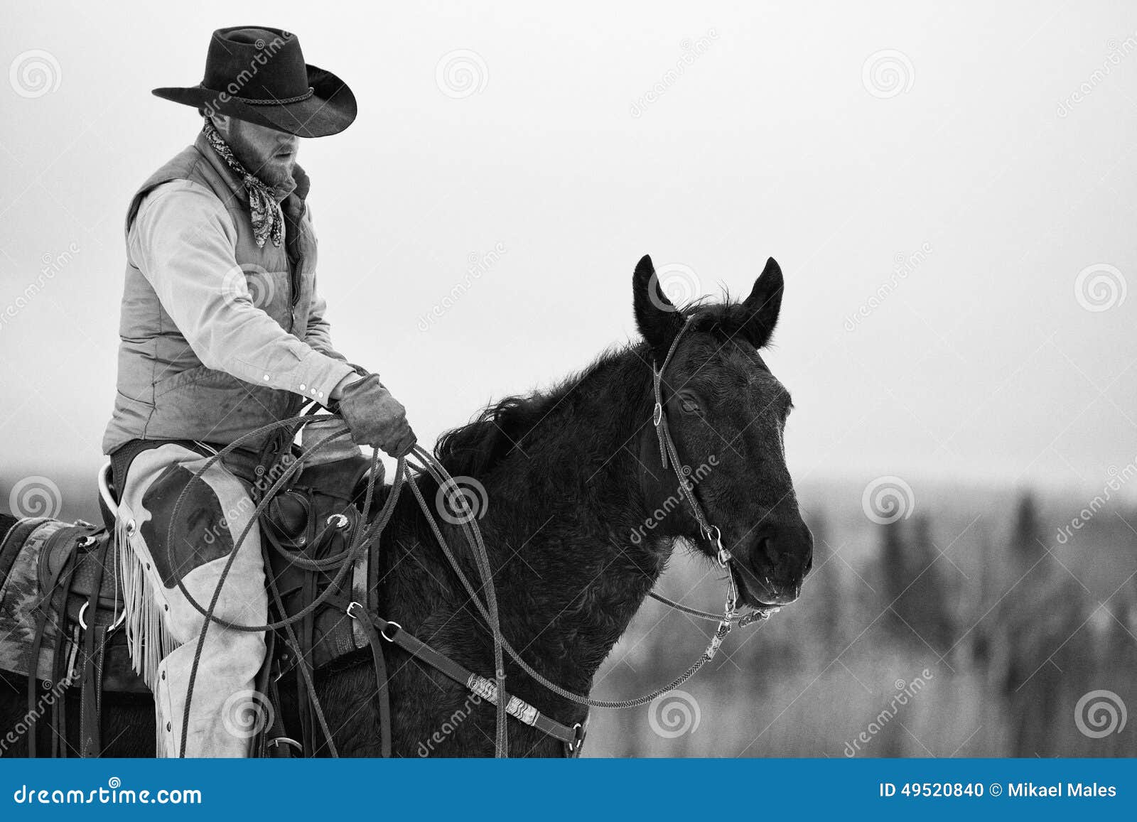 Black and White of Cowboy with Lasso Editorial Image - Image of snow ...