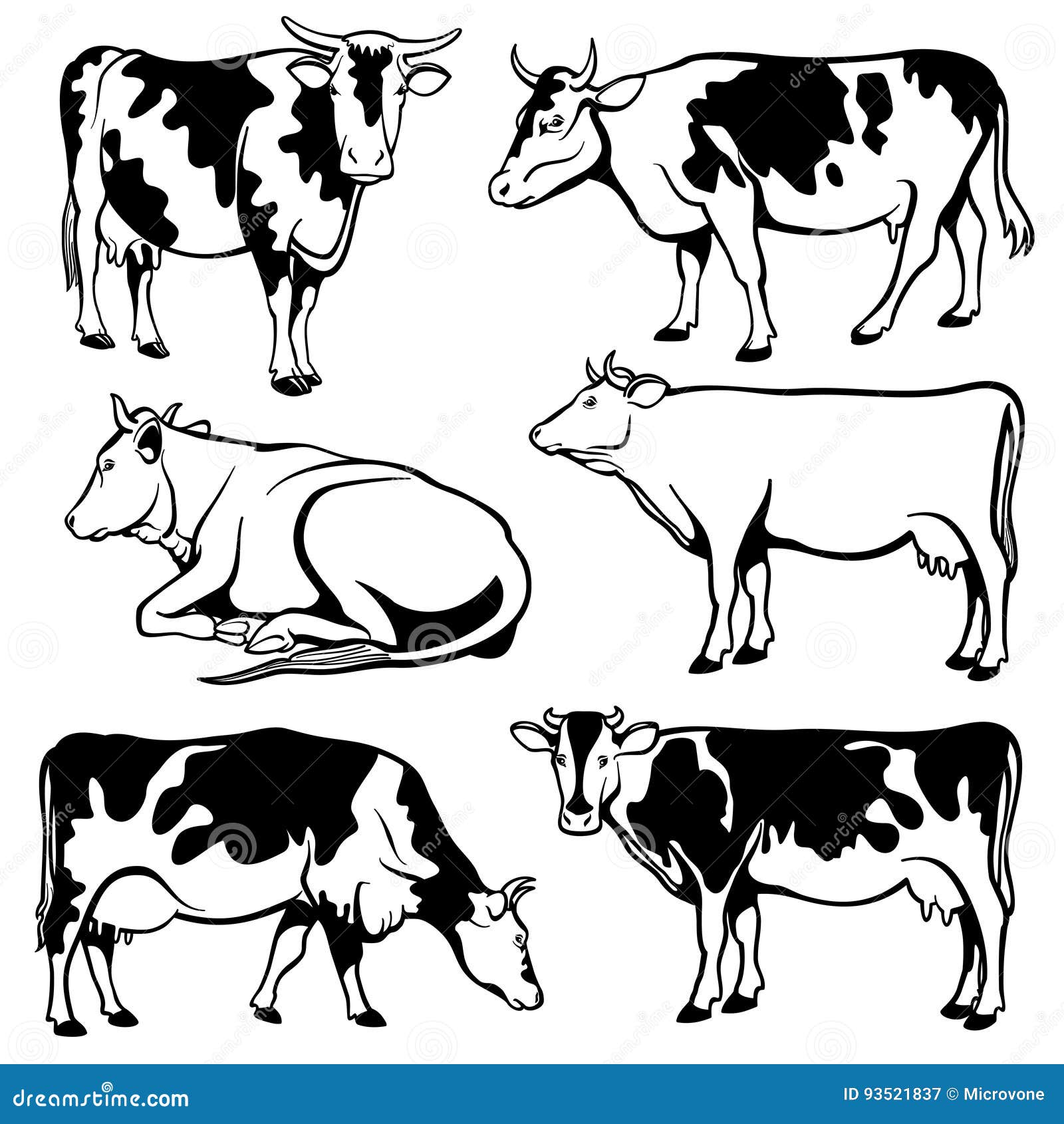 Black and White Cows Vector Set Stock Vector - Illustration of group ...