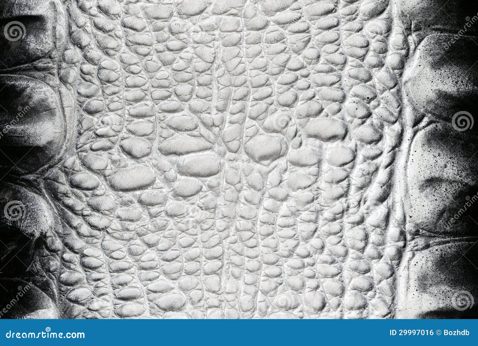 White Crocodile Leather Texture Royalty-Free Stock Photo ...
