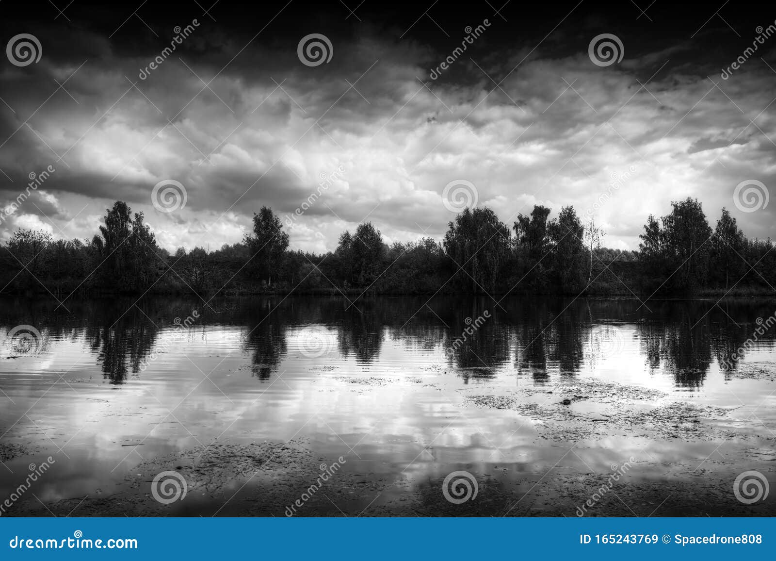 Dramatic River Forest Horizon Backdrop Background Stock Photography ...