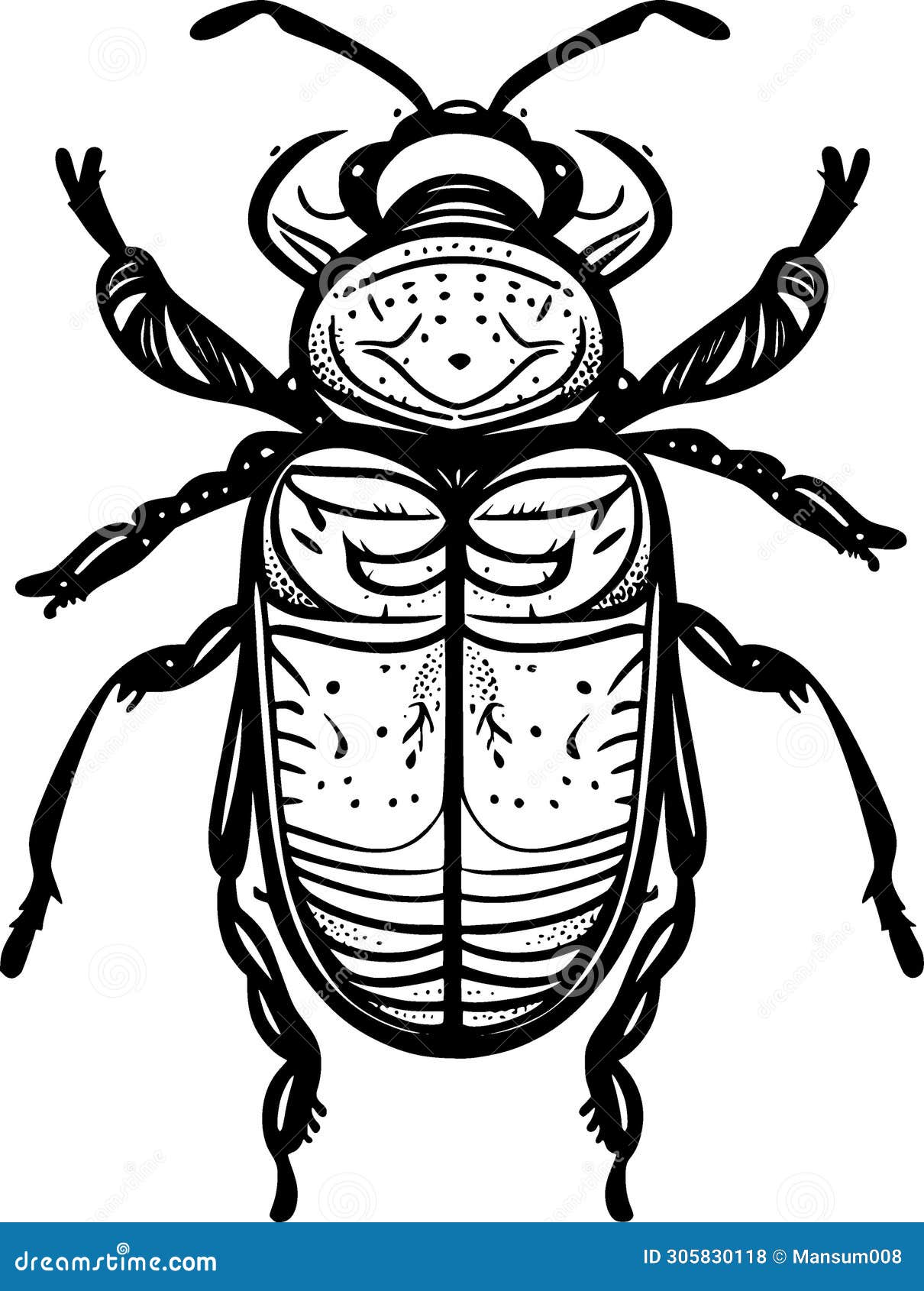 A Black and White Drawing of a Bug Stock Illustration - Illustration of ...