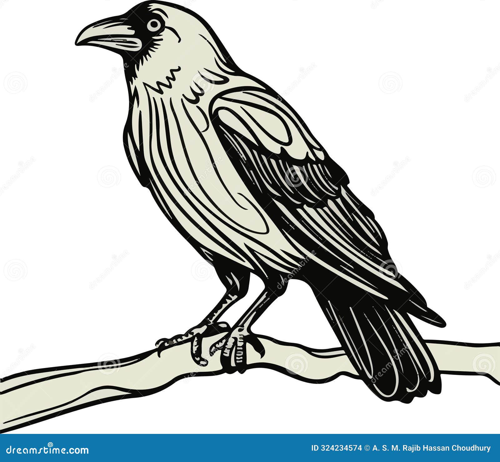 Black and White Drawing of a Crow Perched on a Branch Stock Vector ...