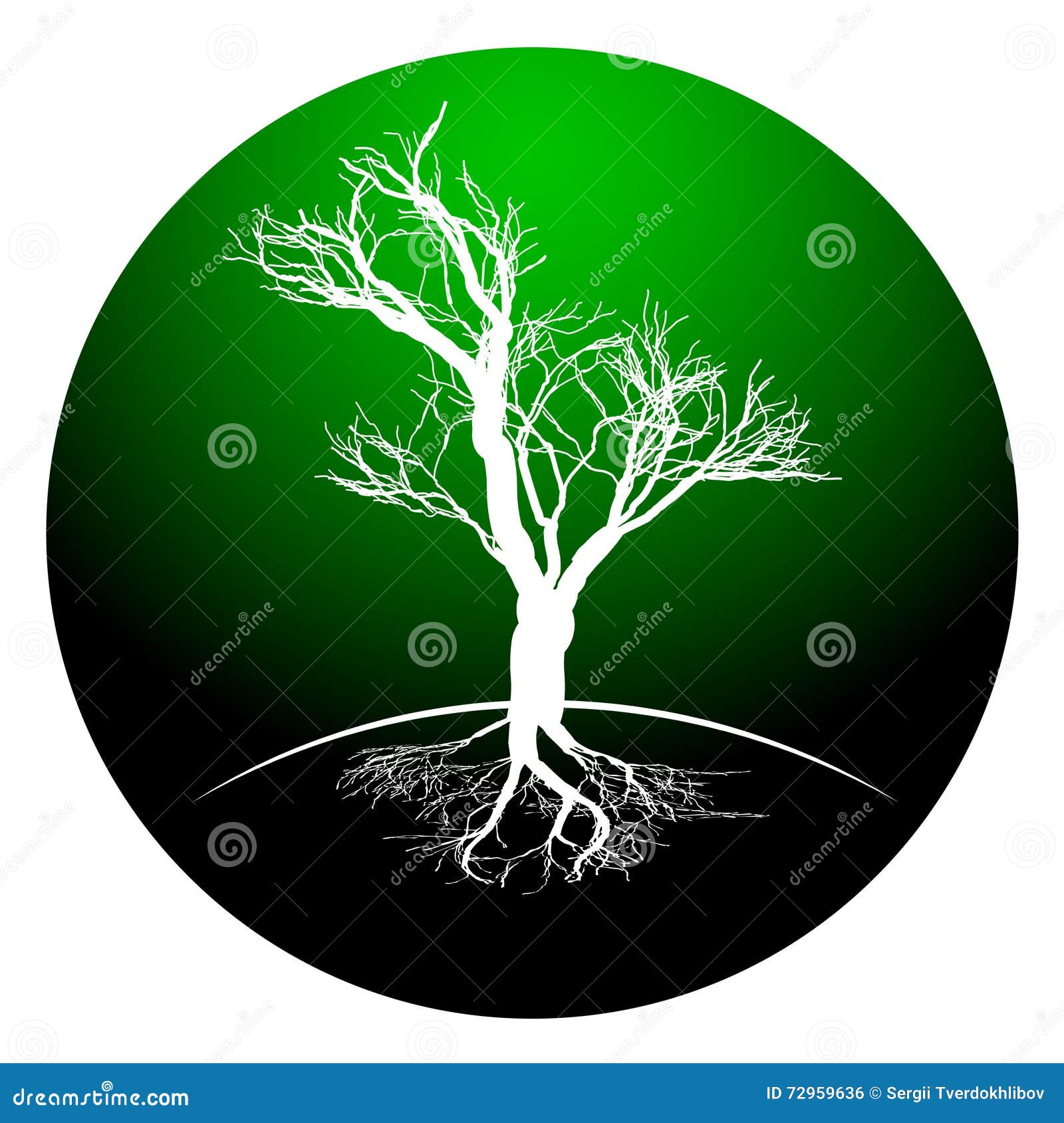 Black And White Drawing Of Deciduous Tree. Black Silhouette On A White ...