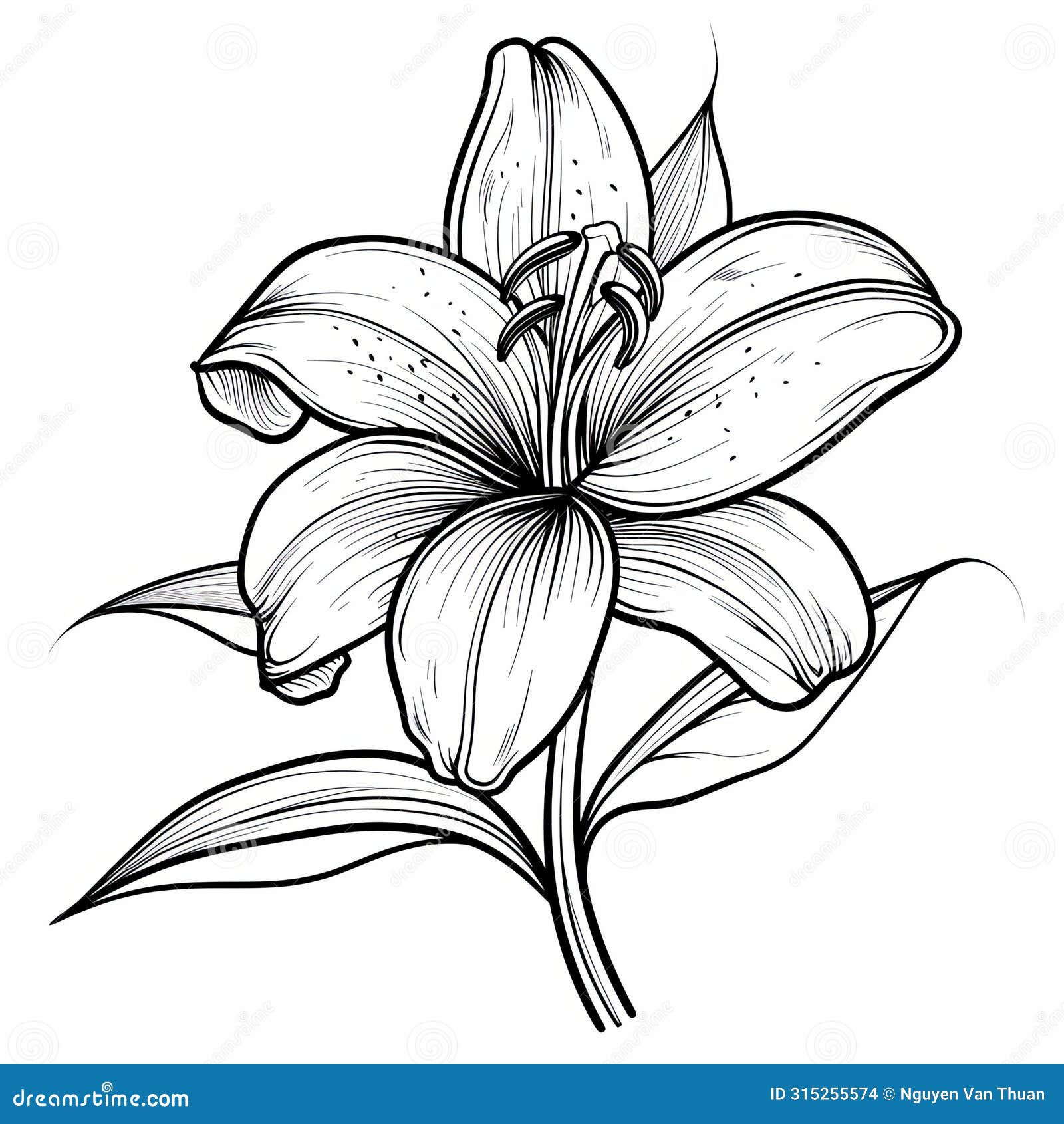 A Black and White Drawing of a Flower Stock Vector - Illustration of ...