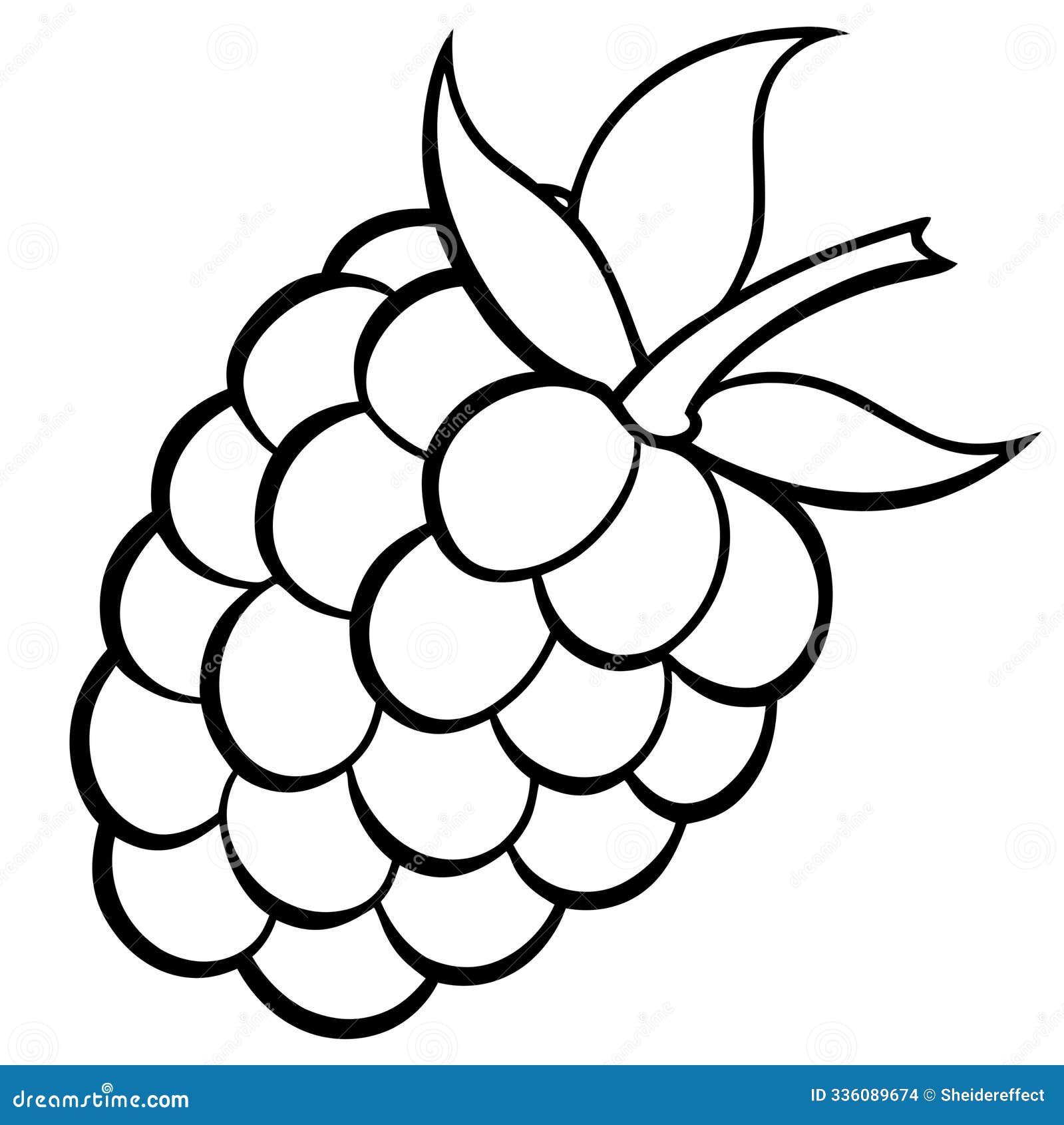 A Black and White Drawing of a Raspberry Stock Illustration ...