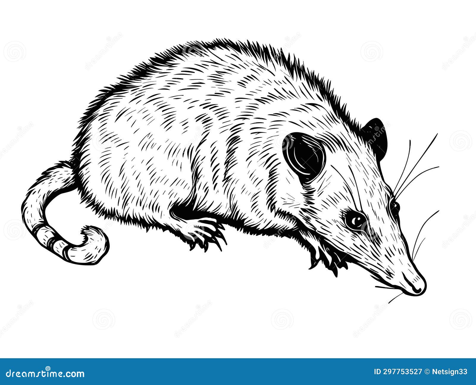 A Black and White Drawing of a Rat - Flat Woodcut of a Crawling White ...
