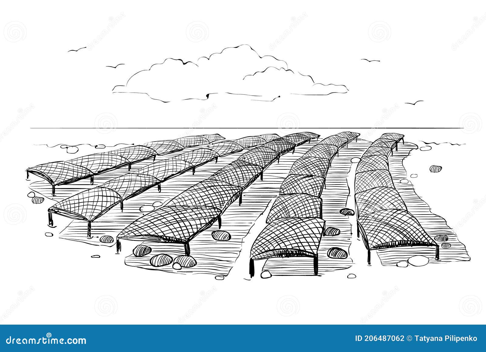 Norman Method of Growing Oysters Stock Vector - Illustration of method ...
