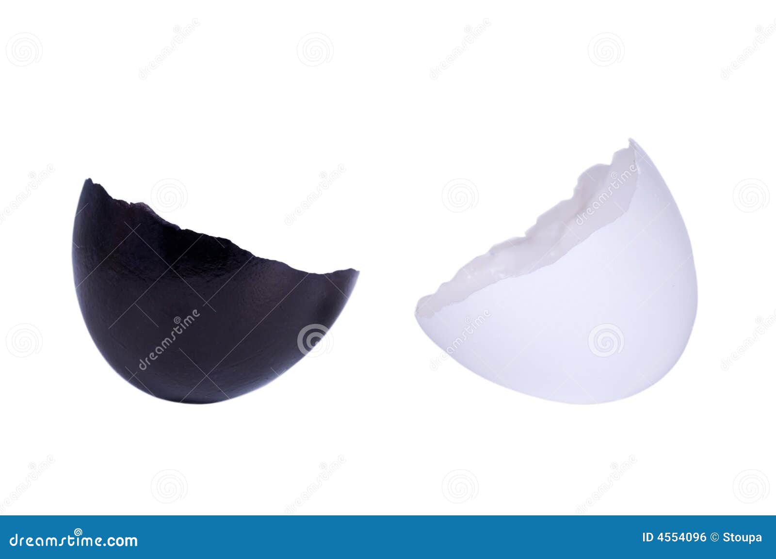 Strange Egg Shell Stock Photos - Free & Royalty-Free Stock Photos from ...