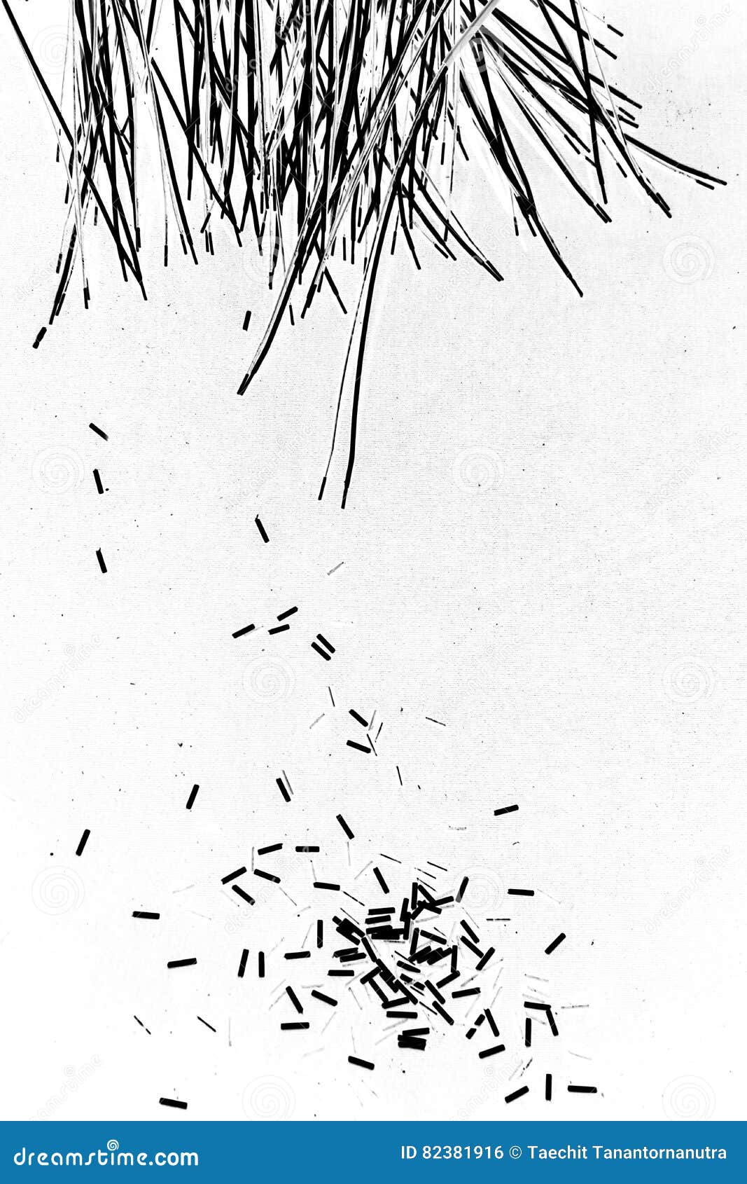 Black and White Electric Wire Stock Photo - Image of abstract ...