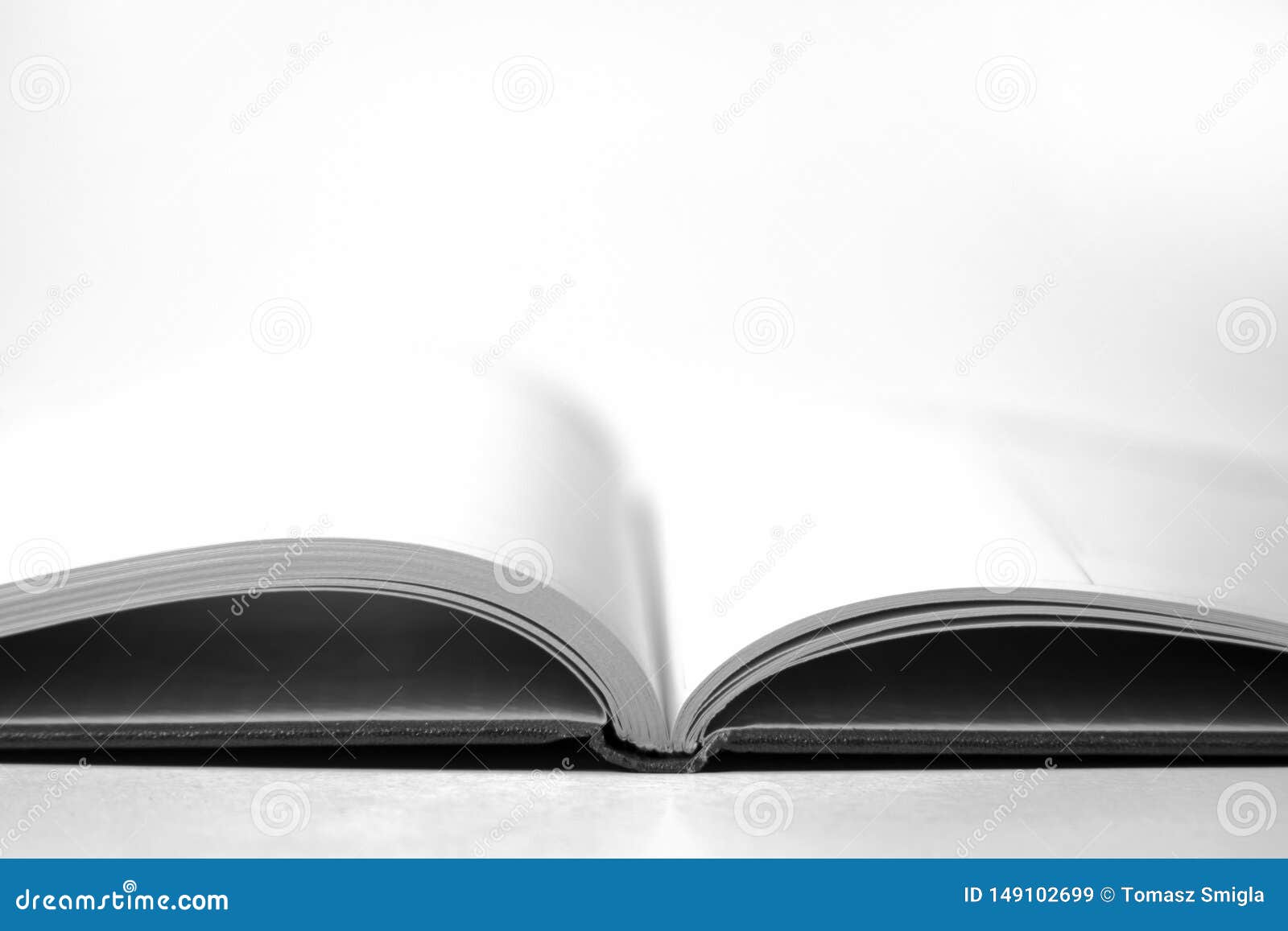 Black and White Empty Open Book with Blank Pages, Reading, Knowledge ...