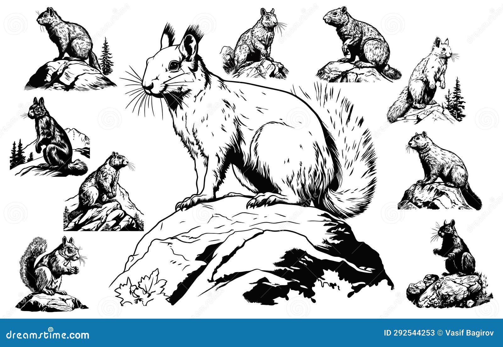 Black and White Engrave Ink Draw Isolated Vector Squirrel Set ...