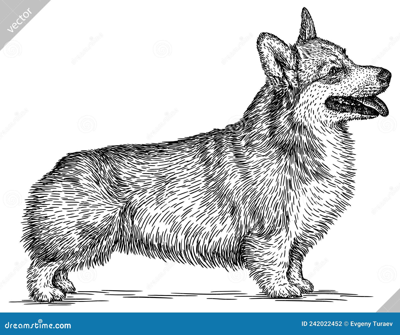 Corgi Vector Eps Hand Drawn, Vector, Eps, Logo, Icon, Crafteroks ...