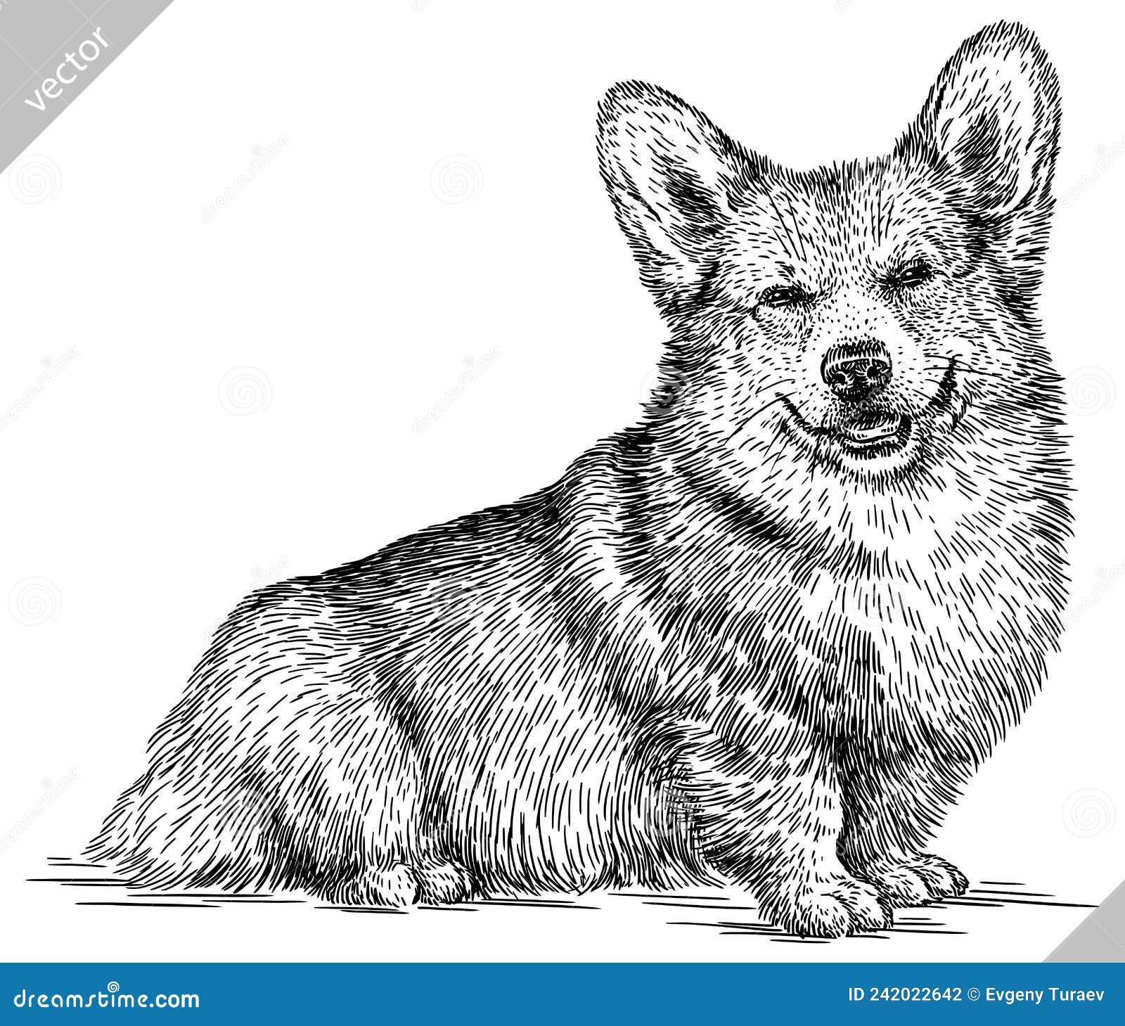 Happy Korgi Isolated Vector Illustration. Dog Doodle Outline Icon ...