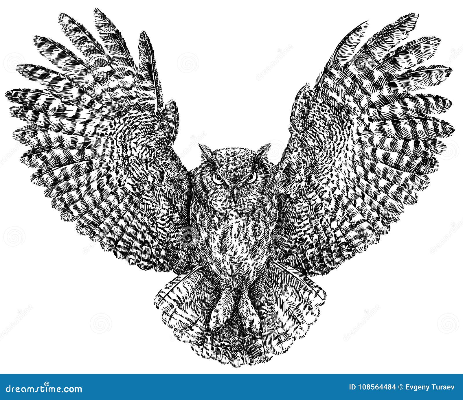 Black and White Engrave Isolated Owl Illustration Stock Illustration ...