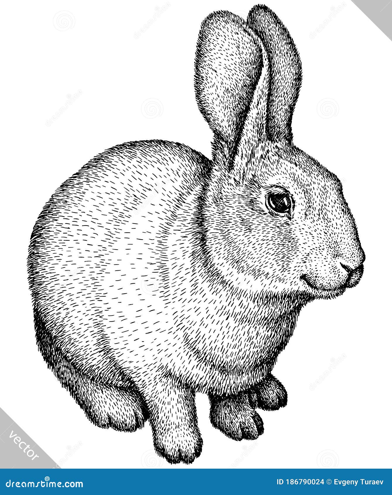 Black and White Engrave Isolated Rabbit Vector Illustration Stock ...