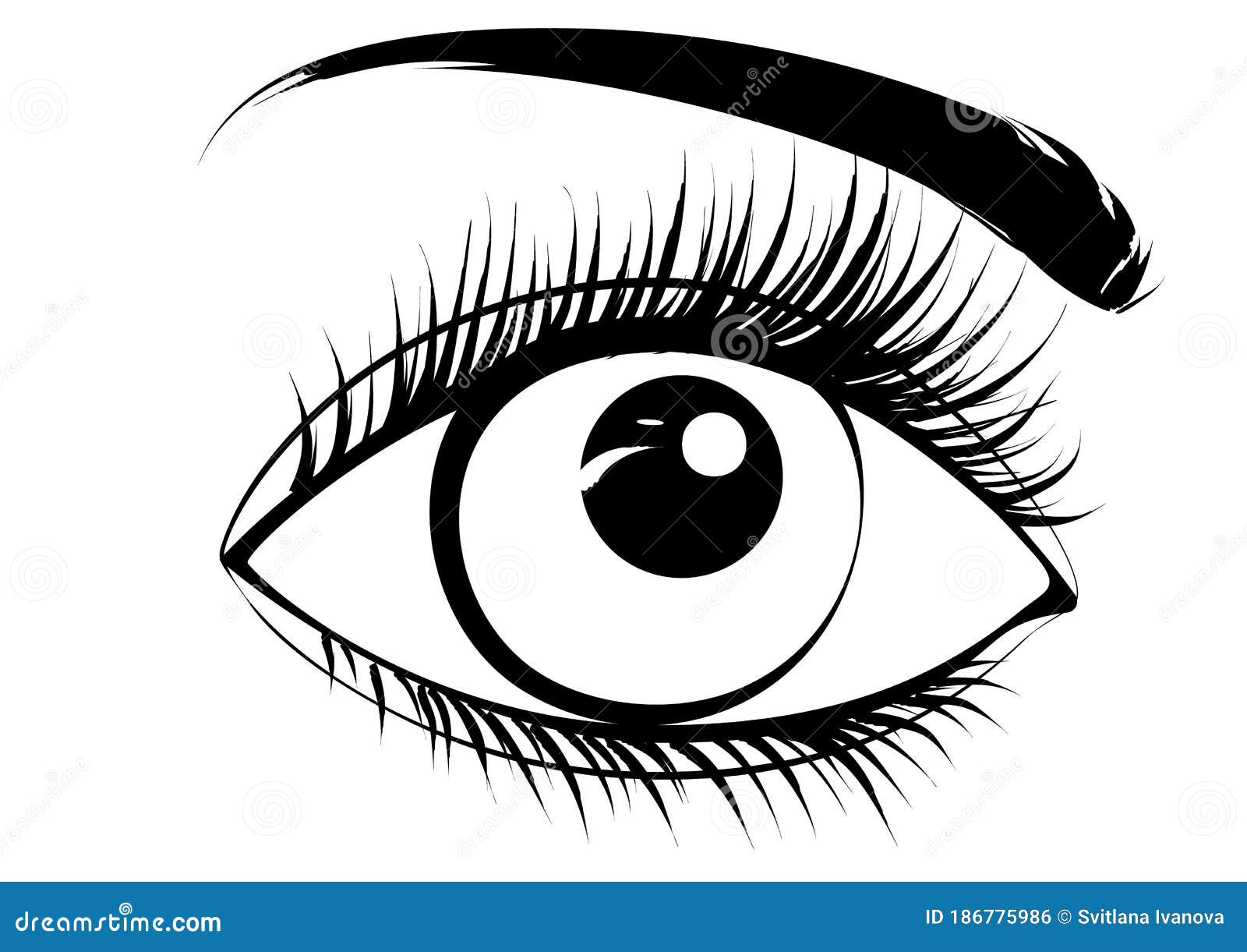 Black - White Eye with Eyebrow. Vector Illustration Stock Illustration ...