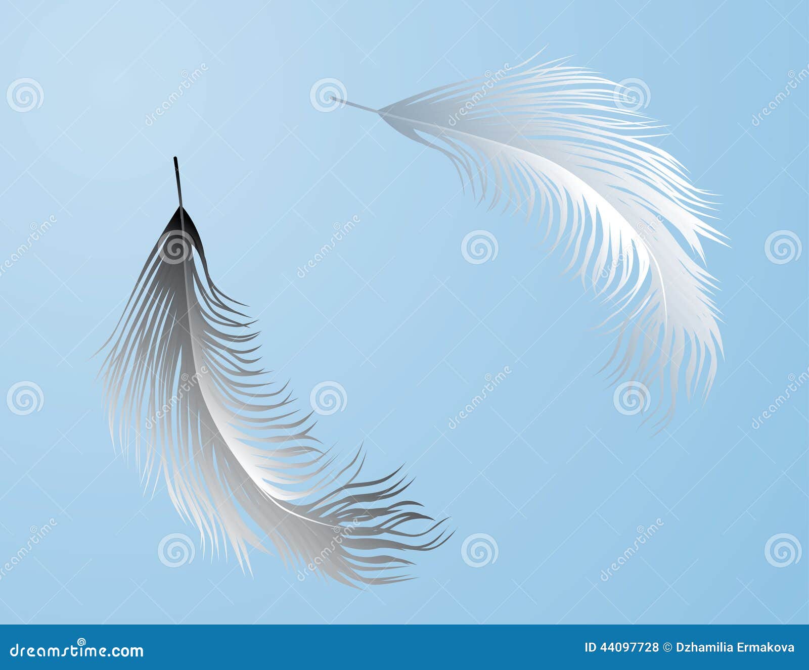 Black and white feathers stock vector. Illustration of metaphor - 44097728