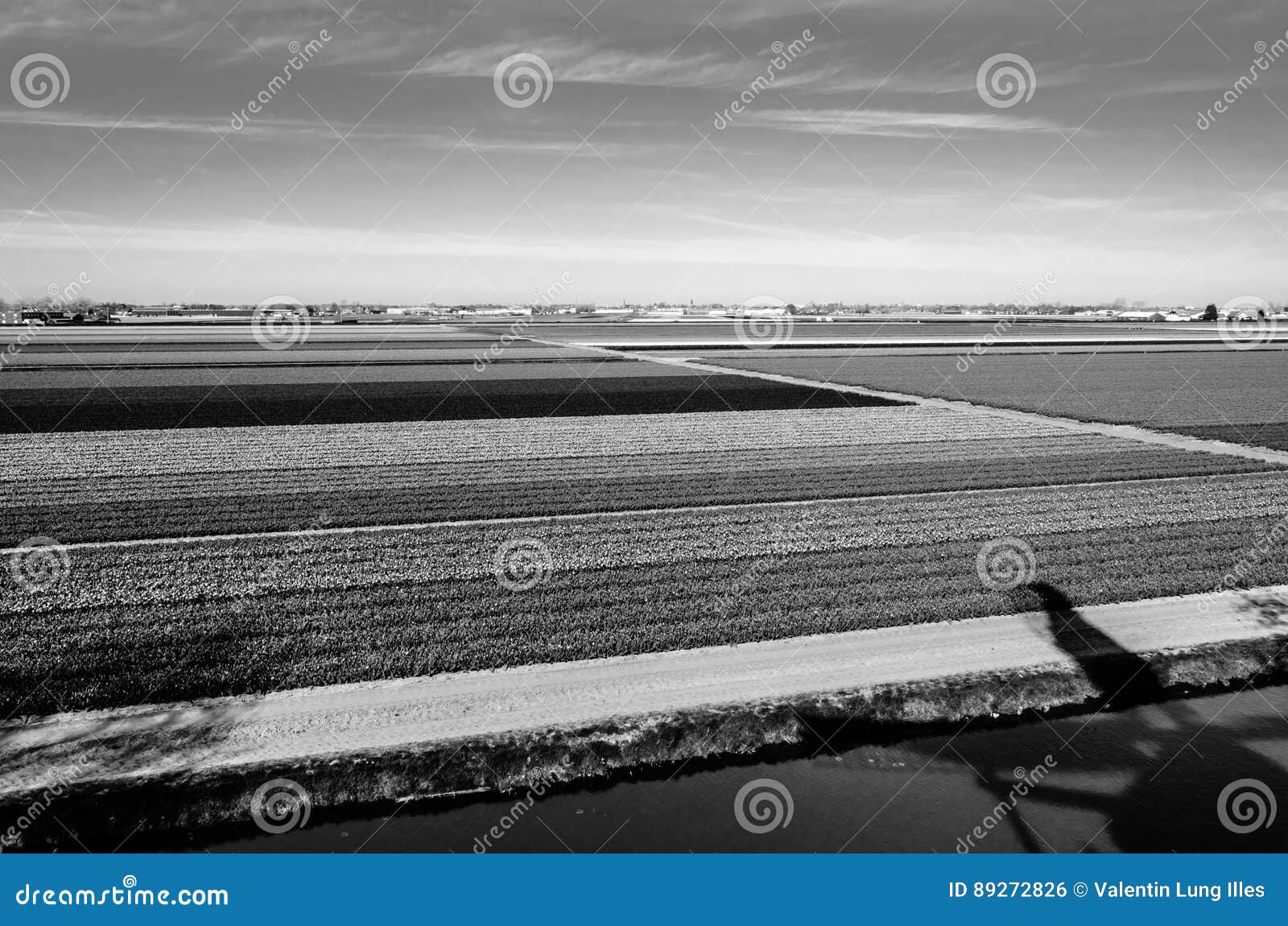 Black and White Field Background Stock Photo - Image of contrast ...