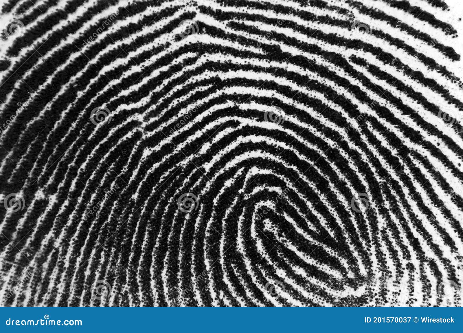 Black and White Fingerprint Texture Stock Image - Image of background ...