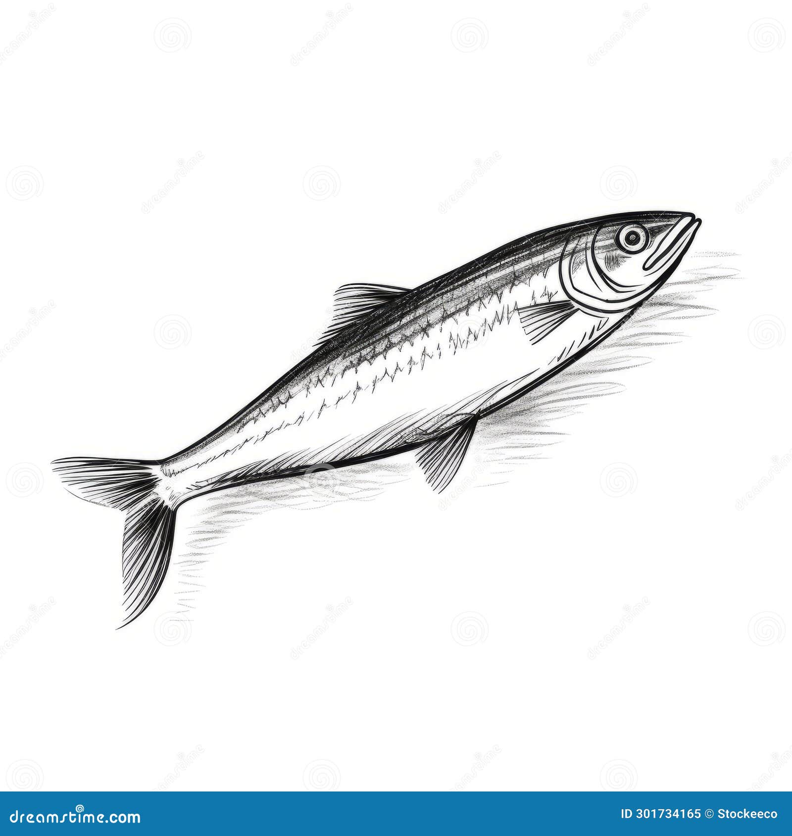 Black and White Fish: a Stunning Blend of Smooth and Shiny Ragecore ...