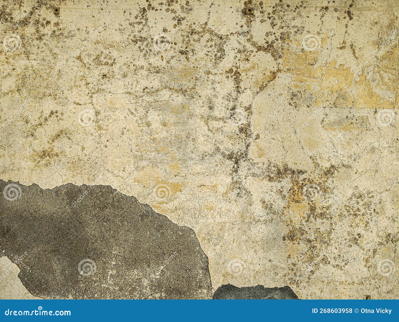 Black and White Fleck Texture, Artistic and Natural Texture with Vector ...