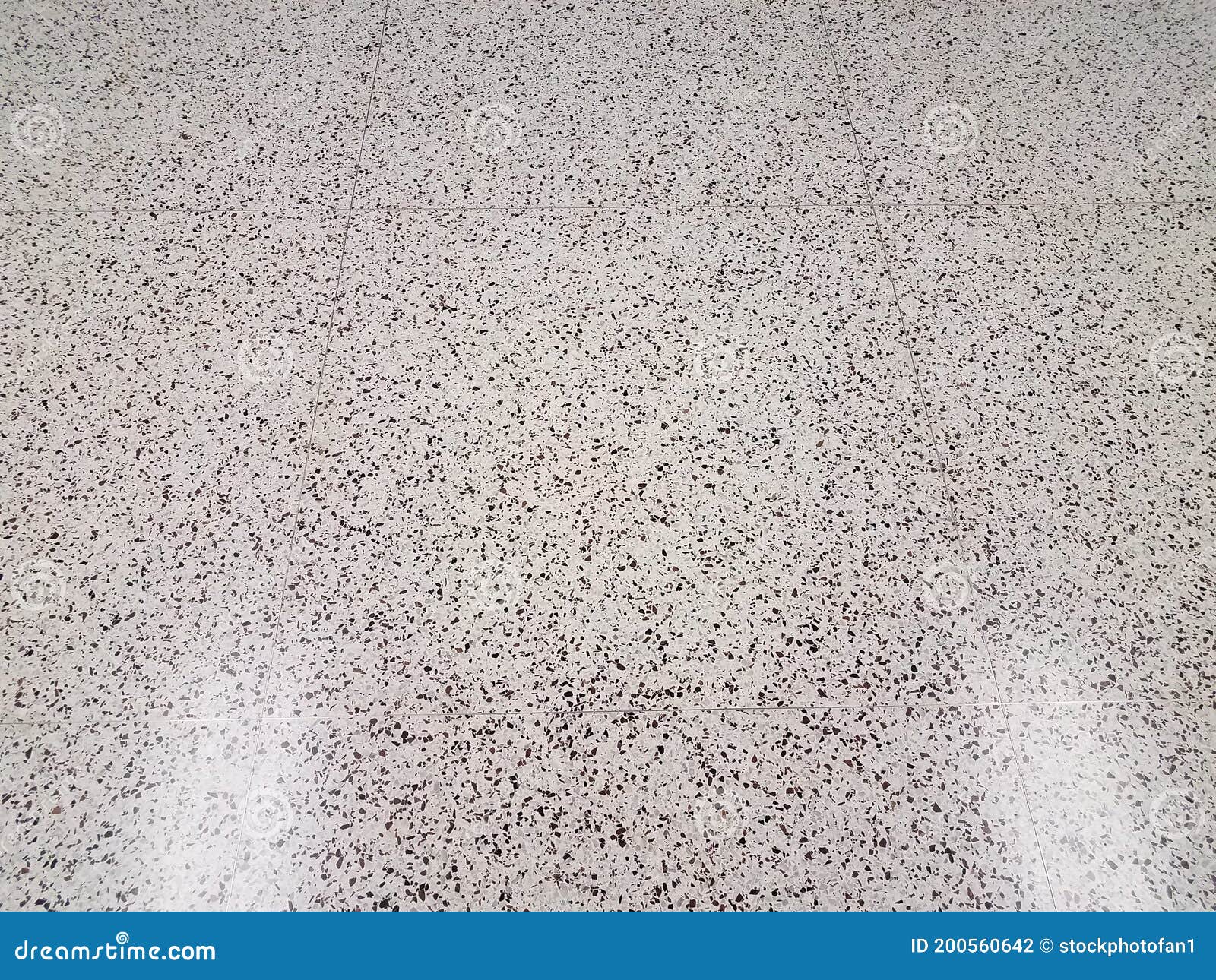 Black and White Floor Tile with Reflection Stock Photo - Image of white ...