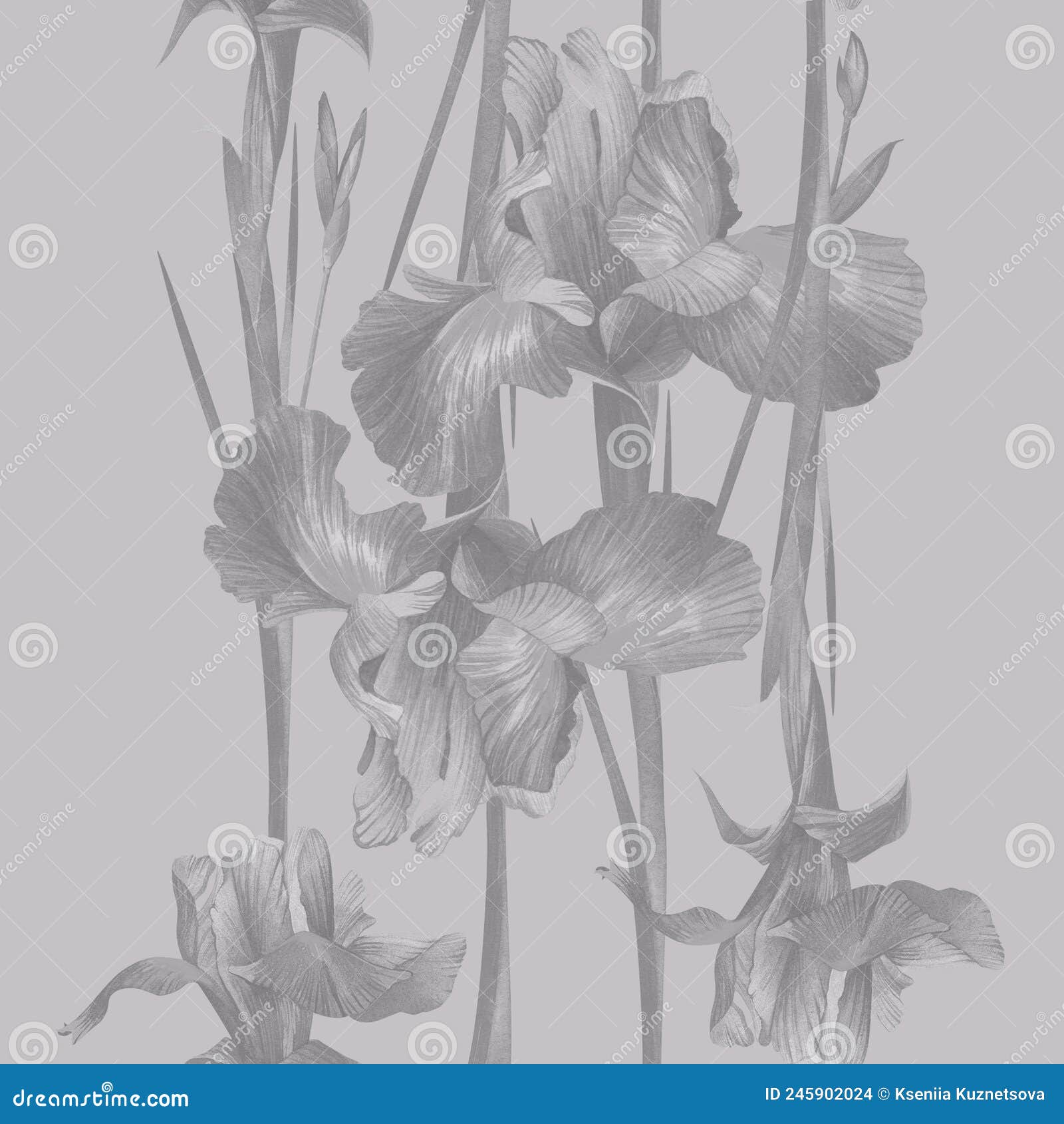 Black and White Flowers on a Gray Background. Iris Pattern Stock ...