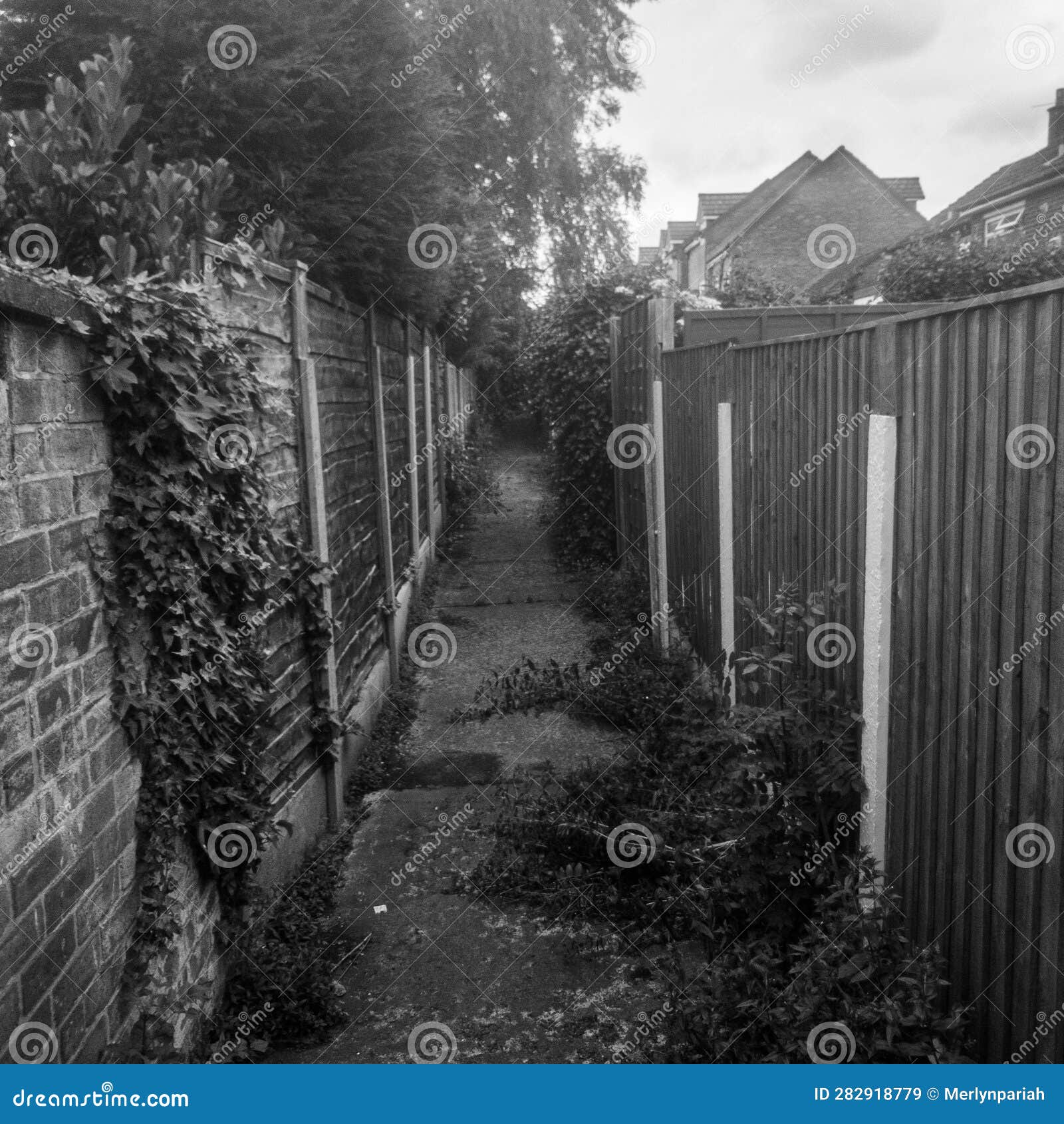 Black and white ginnel stock image. Image of black, road - 282918779