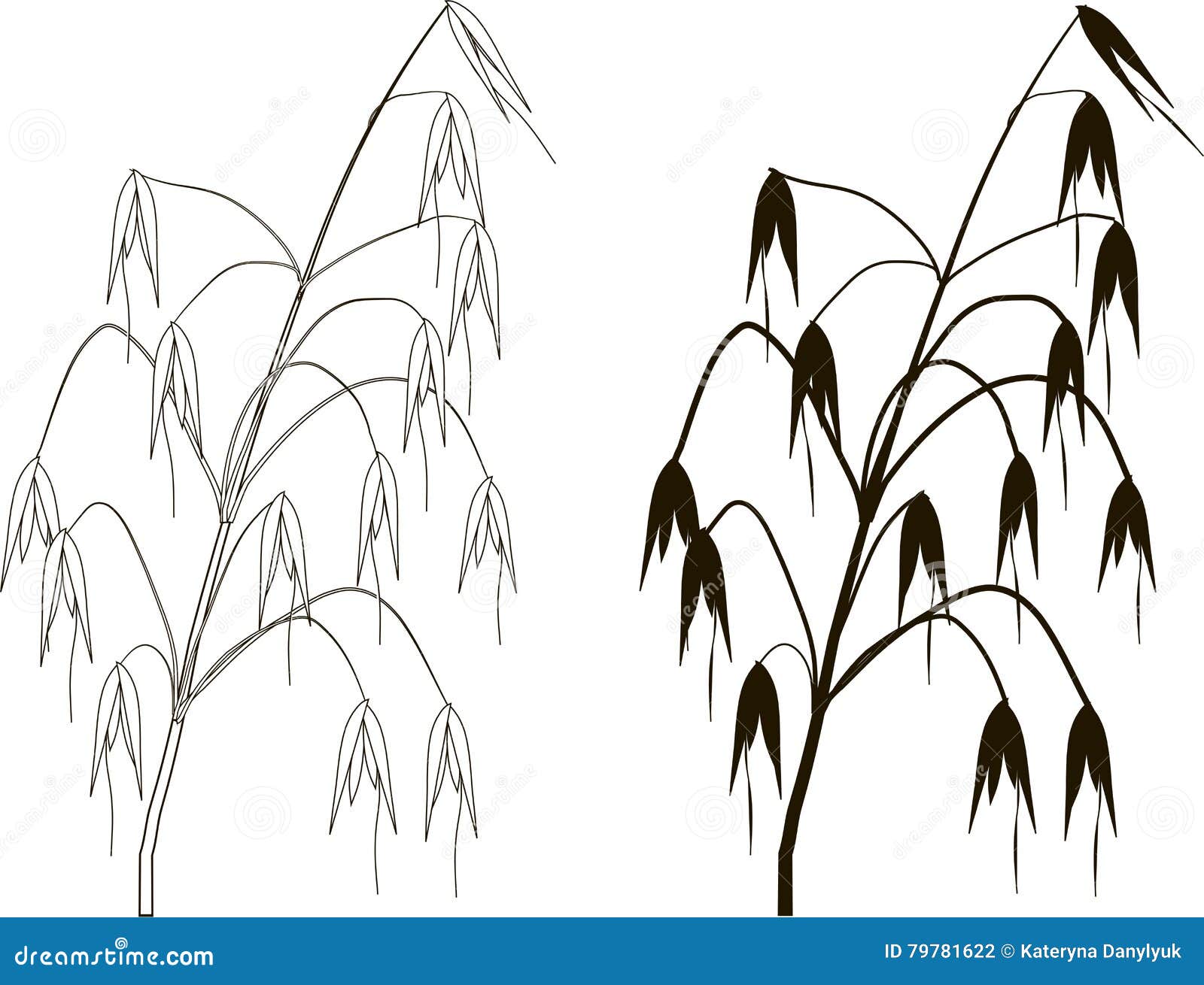 Black and White Graphic Silhouette and Outline of Oats Stock Vector ...