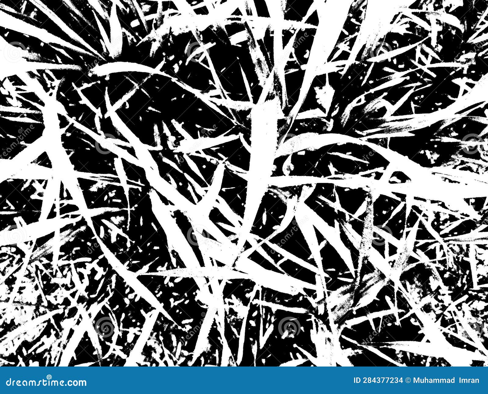 Black and White Grass Blade Texture Stock Photo - Image of wallpaper ...
