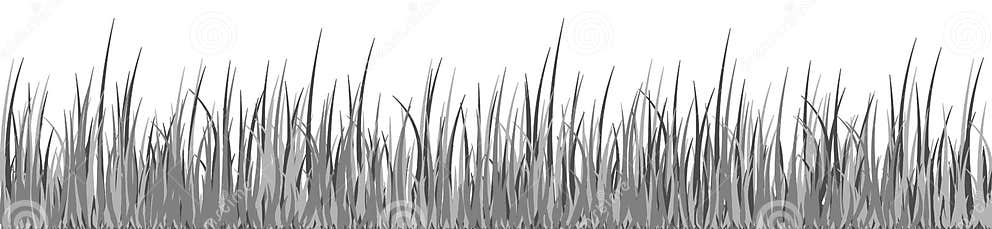 Black and White Grass, Weed Patterns, Vector Illustration Stock Vector ...