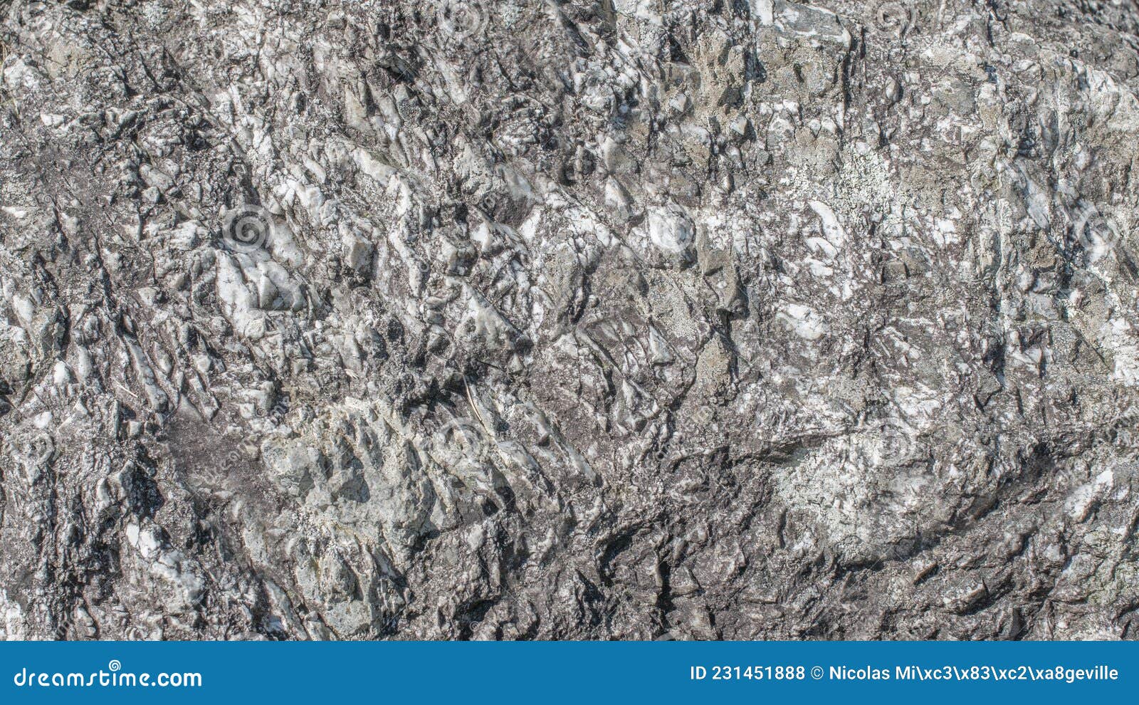 Black White Gray Bump Stone Texture for Background, Wallpaper, Material ...