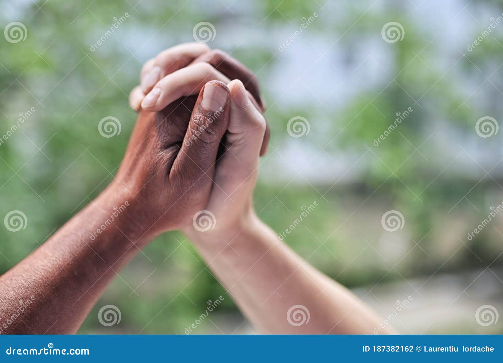 112 Teamwork Unity Hands Black Nature Stock Photos - Free & Royalty ...