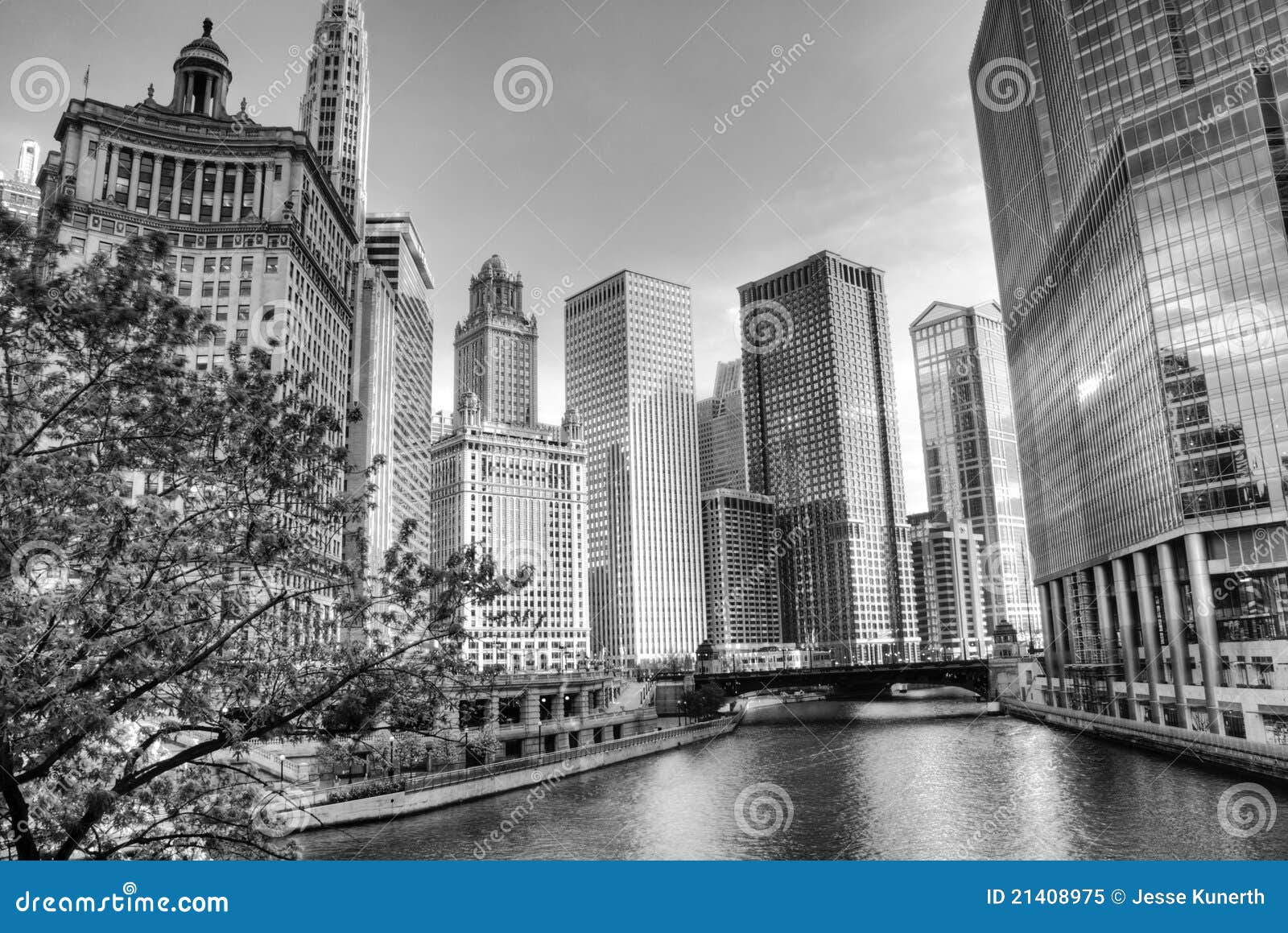 Black and White HDR of Chicago Stock Image - Image of buildings, white ...