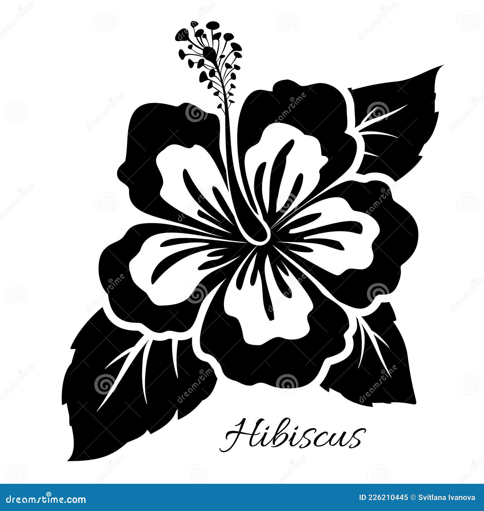Black-white Hibiscus Flower with Leaves. Vector Illustration Stock ... Black-white Hibiscus Flower with Leaves. Vector Illustration Stock ...