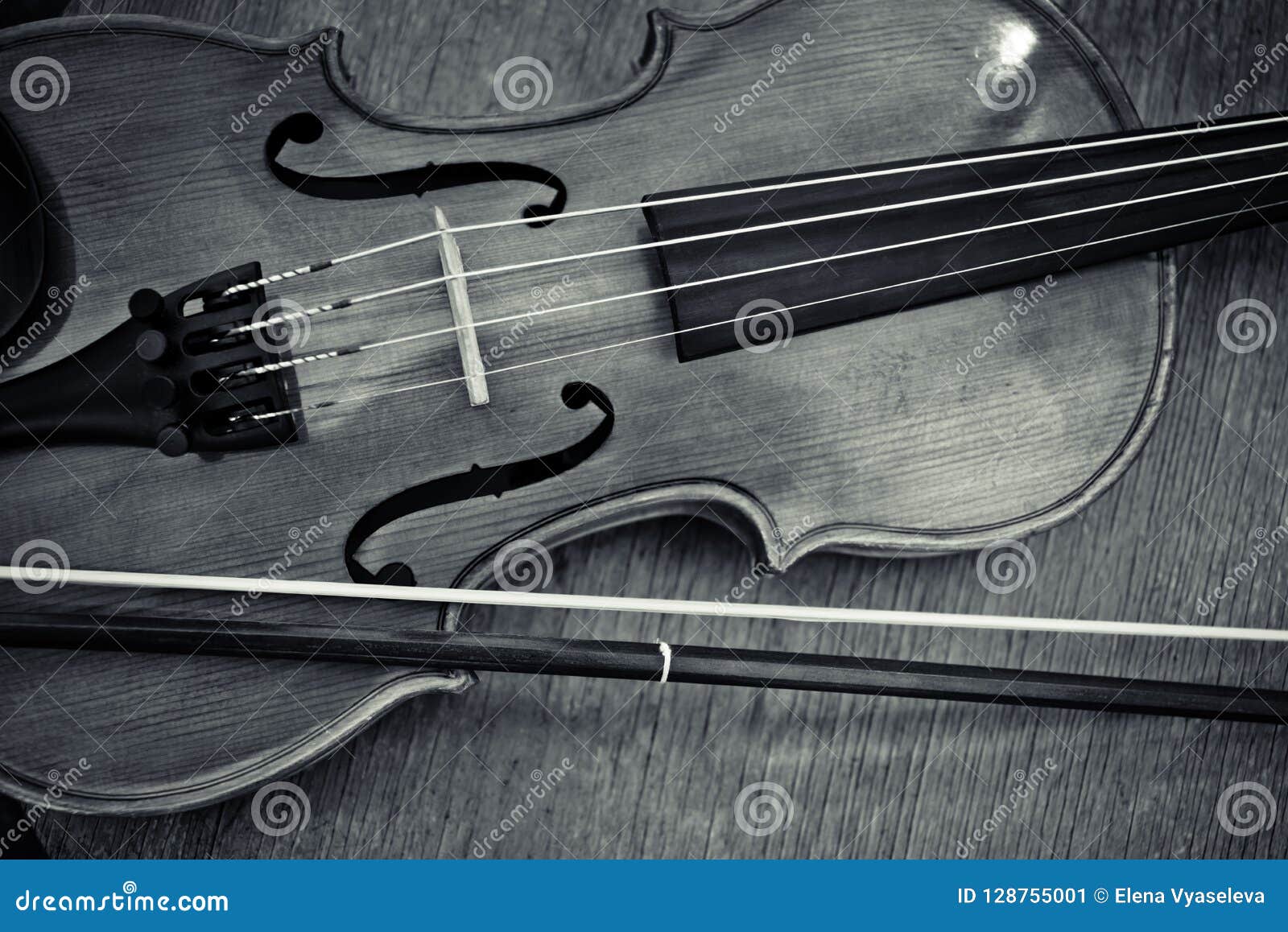 Black and White Horizontal Image of the Bottom Half of Violin on the ...