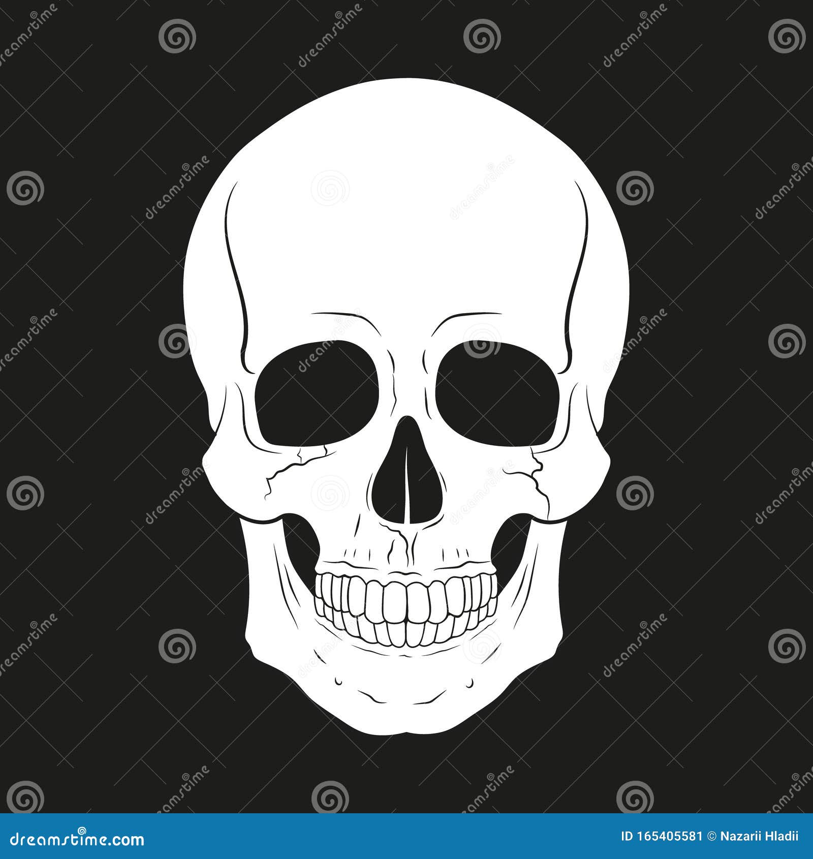 Black and White Human Skull with a Lower Jaw on Black Background Stock ...