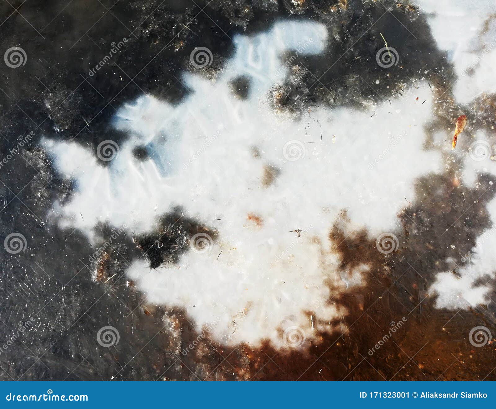 Black and White Ice on a Puddle Stock Image - Image of nature, icicle ...