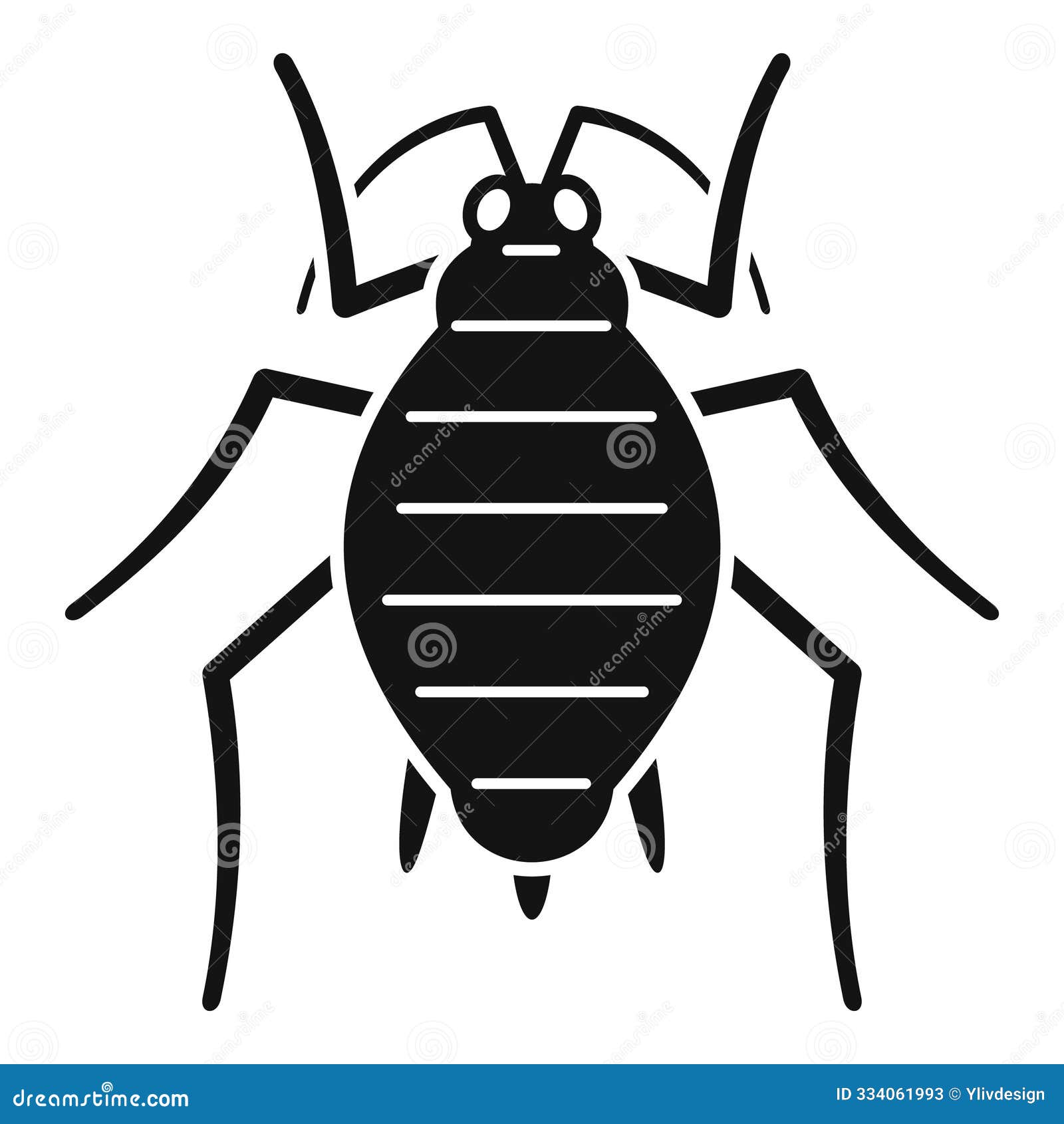 Bedbug Insect Crawling Showing Antennae and Body Stock Illustration ...