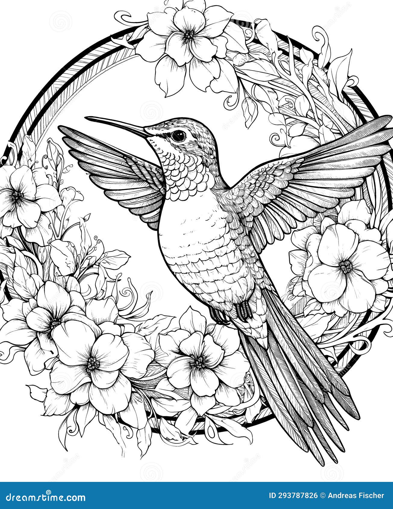 Black and White Illustration for Coloring Birds, Calibri. Stock Photo ...