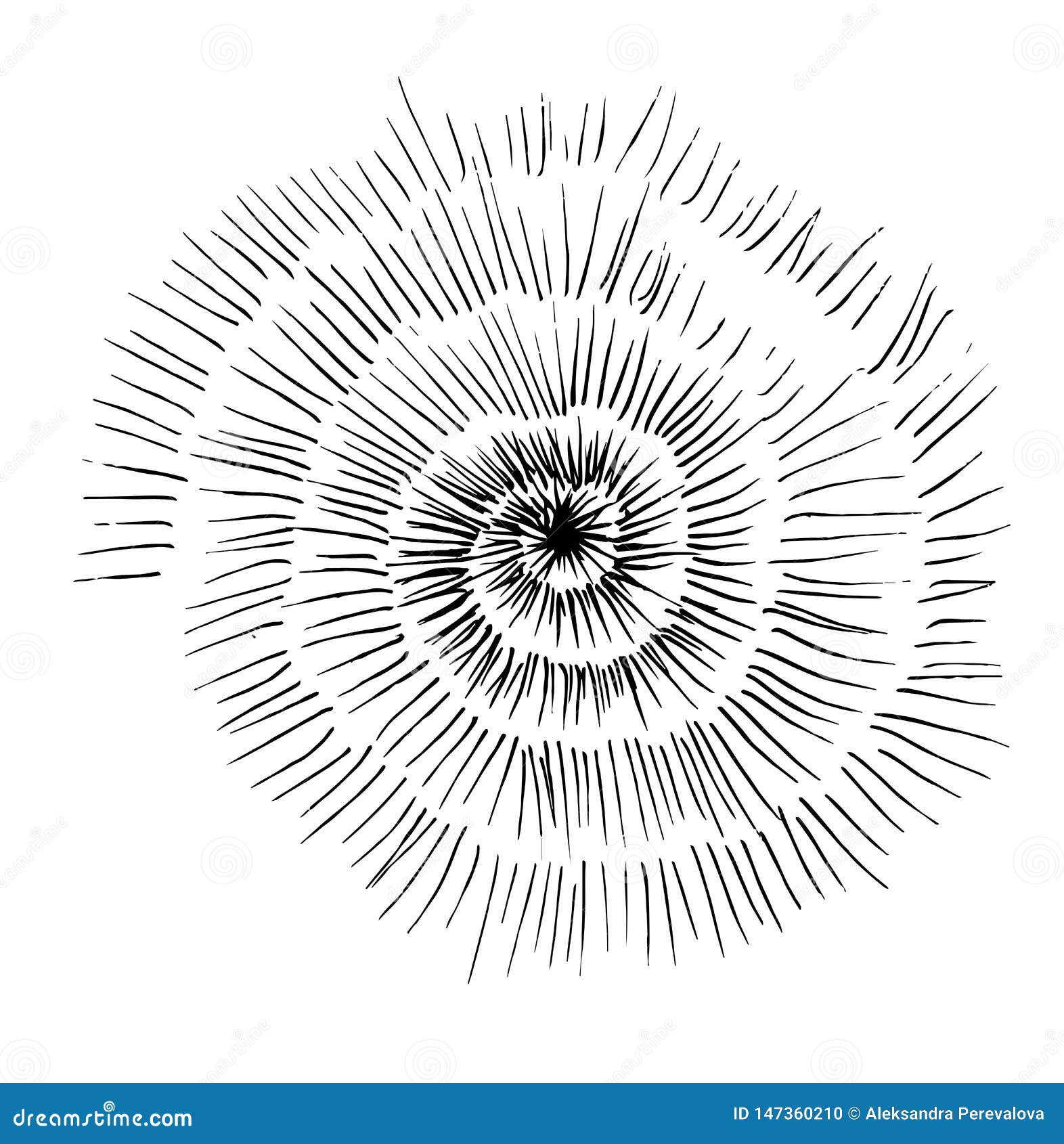 Black White Illustration of a Petrified Snail Shell. Stock Illustration ...