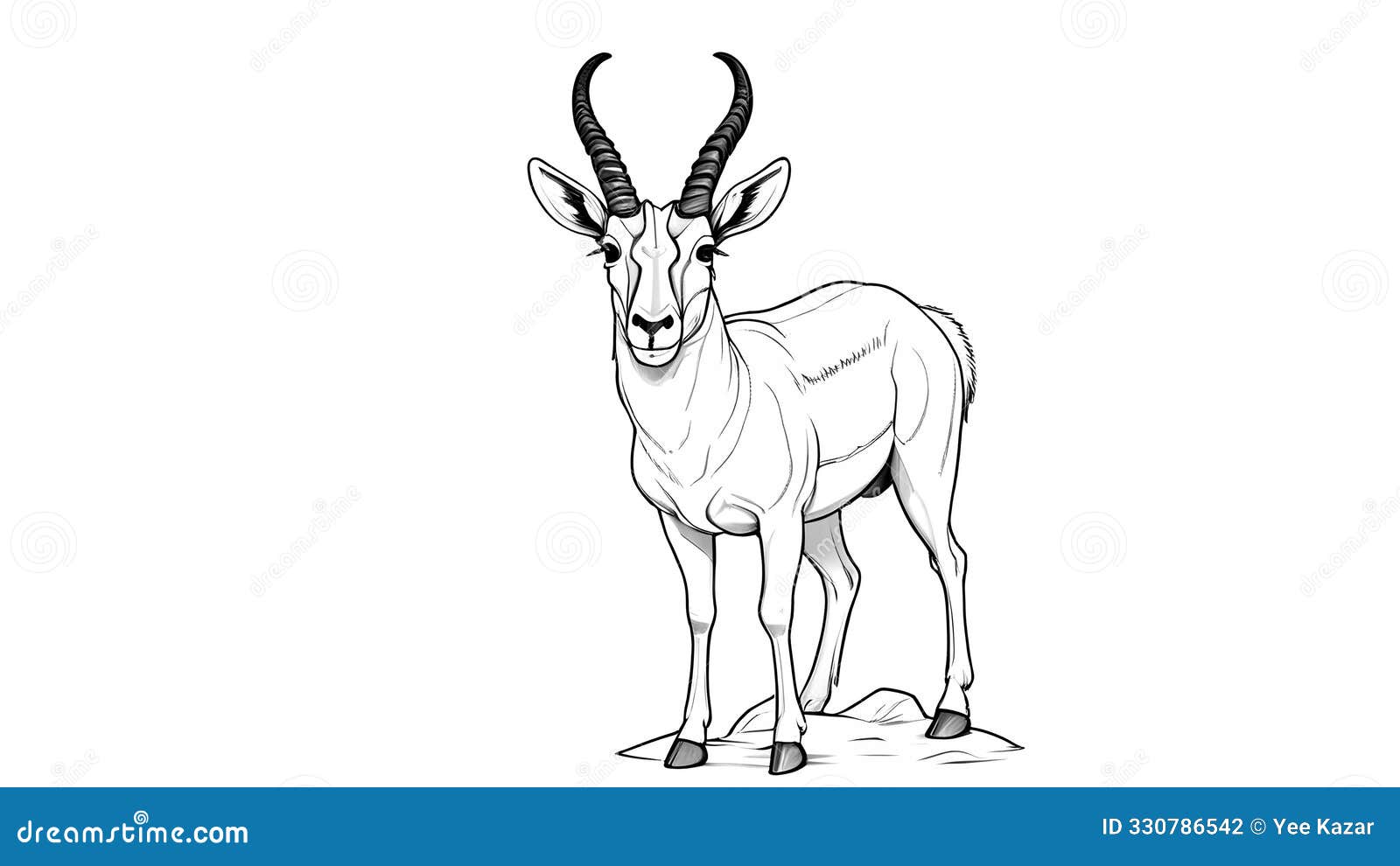 Black and White Illustration of a Springbok Coloring Book Stock ...